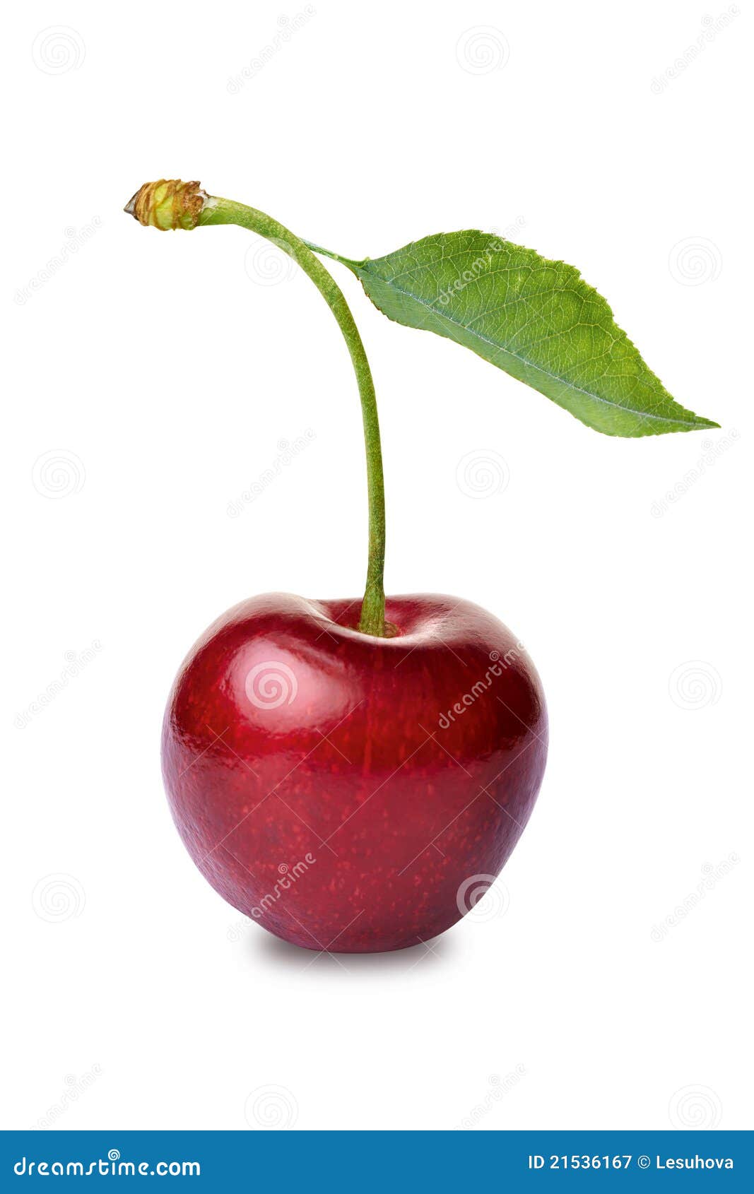 Kirsche stockbild. Bild von getrennt, saftig, blatt, gesund - 21536167