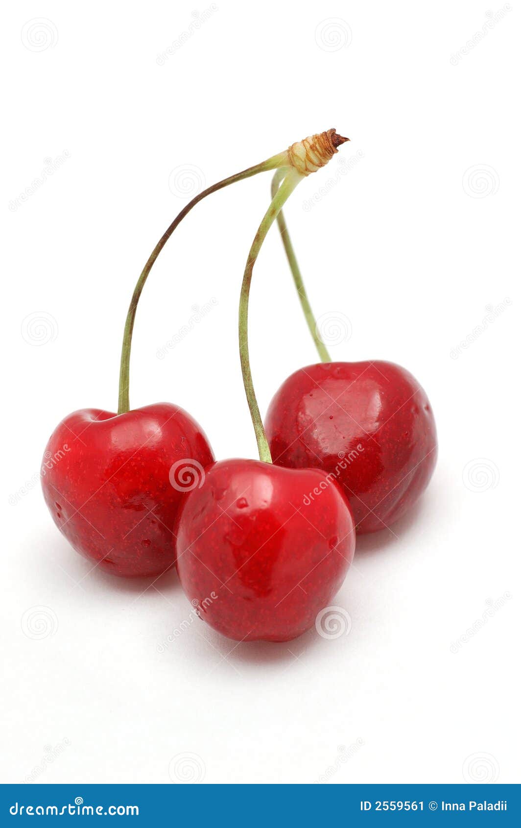 Kirsche stockbild. Bild von kirsche, essen, bestandteil - 2559561