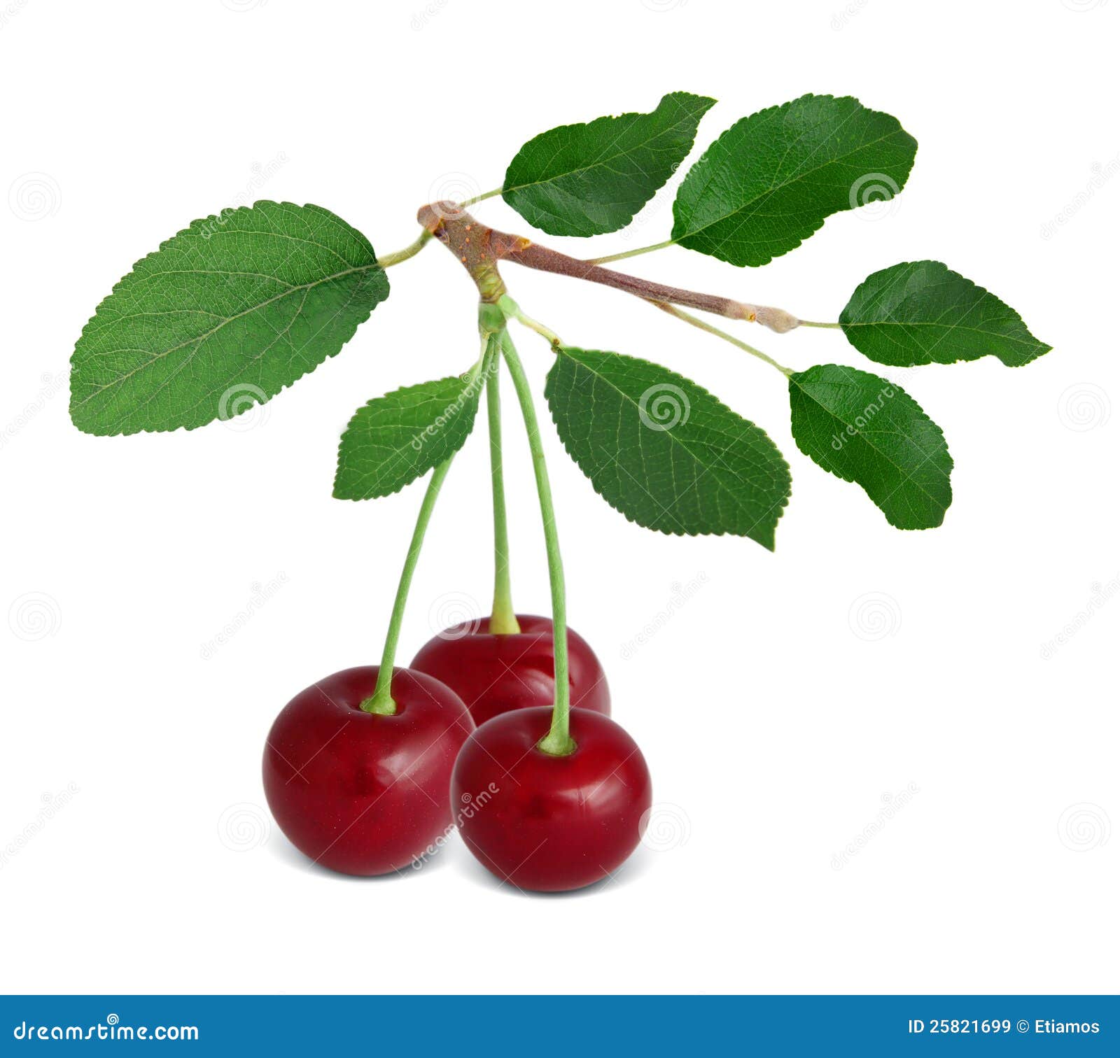 Kirsche stockbild. Bild von ausgereift, geschmack, diät - 25821699