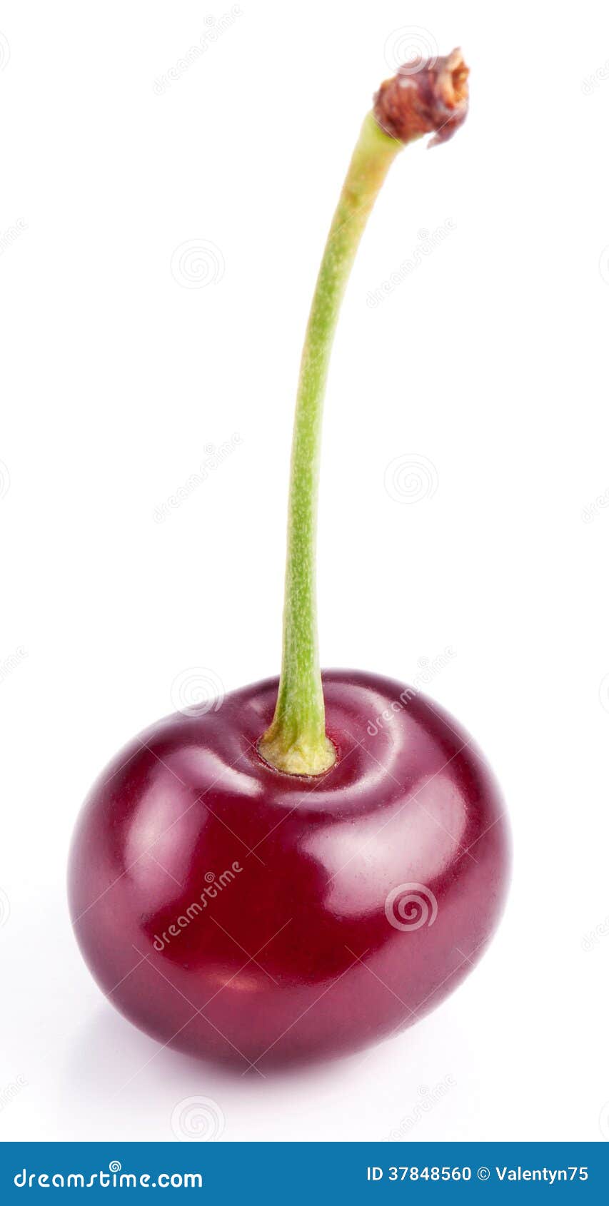 Kirsche stockfoto. Bild von gesundheit, kirsche, vollkommen - 37848560