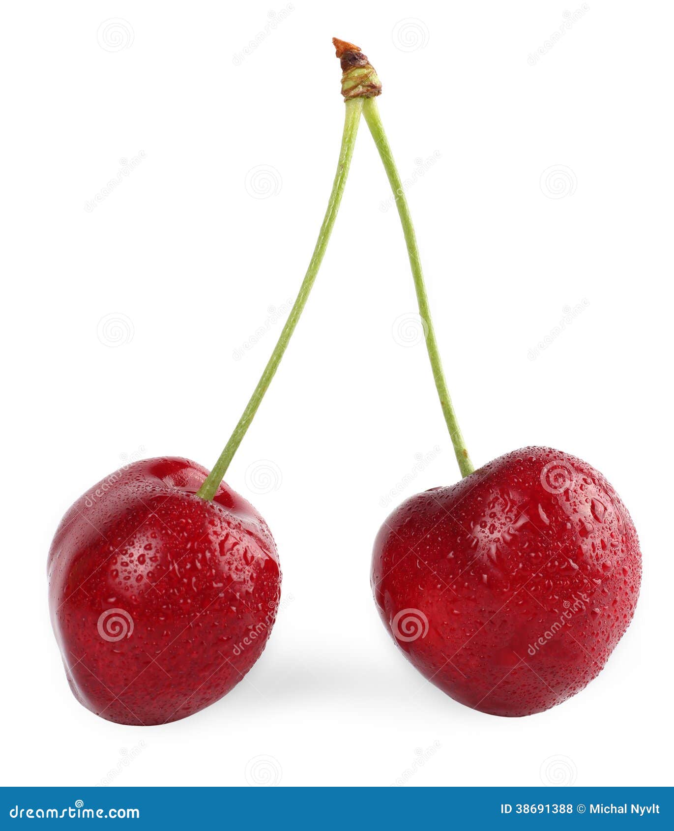 Kirsche stockfoto. Bild von herrlich, garten, kirsche - 38691388