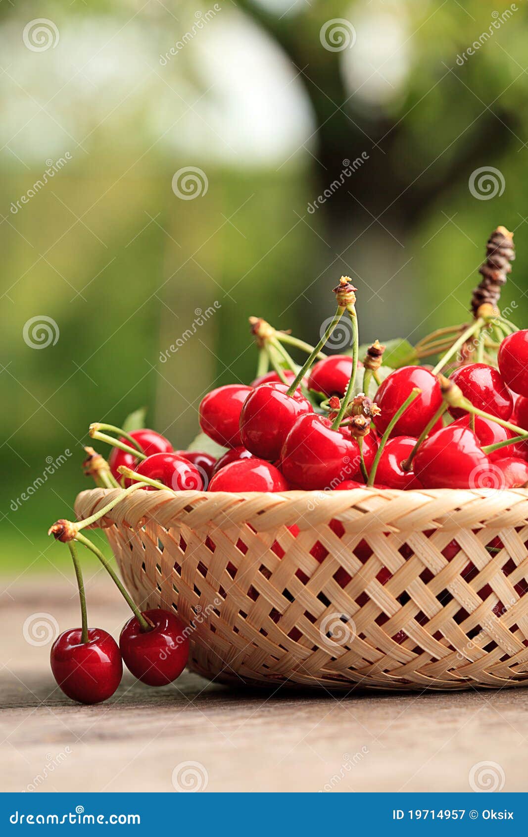 Kirschen im Korb stockbild. Bild von blätter, tabelle - 19714957