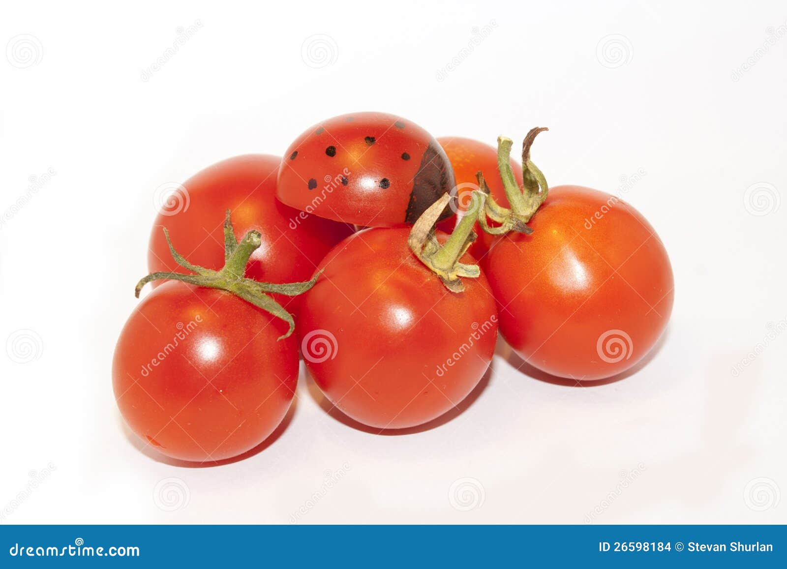 Kirschtomate stockfoto. Bild von nahrung, essen, geschmack - 26598184