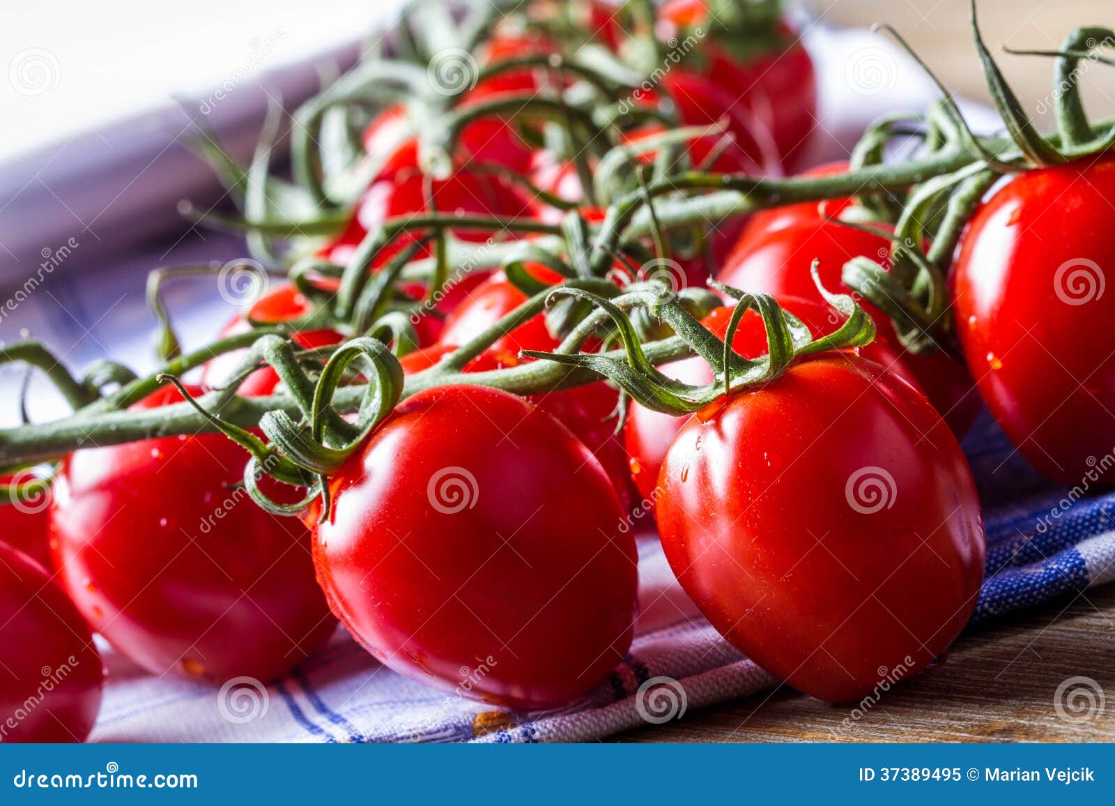 Kirschtomate stockbild. Bild von gärtnern, bestandteile - 37389495