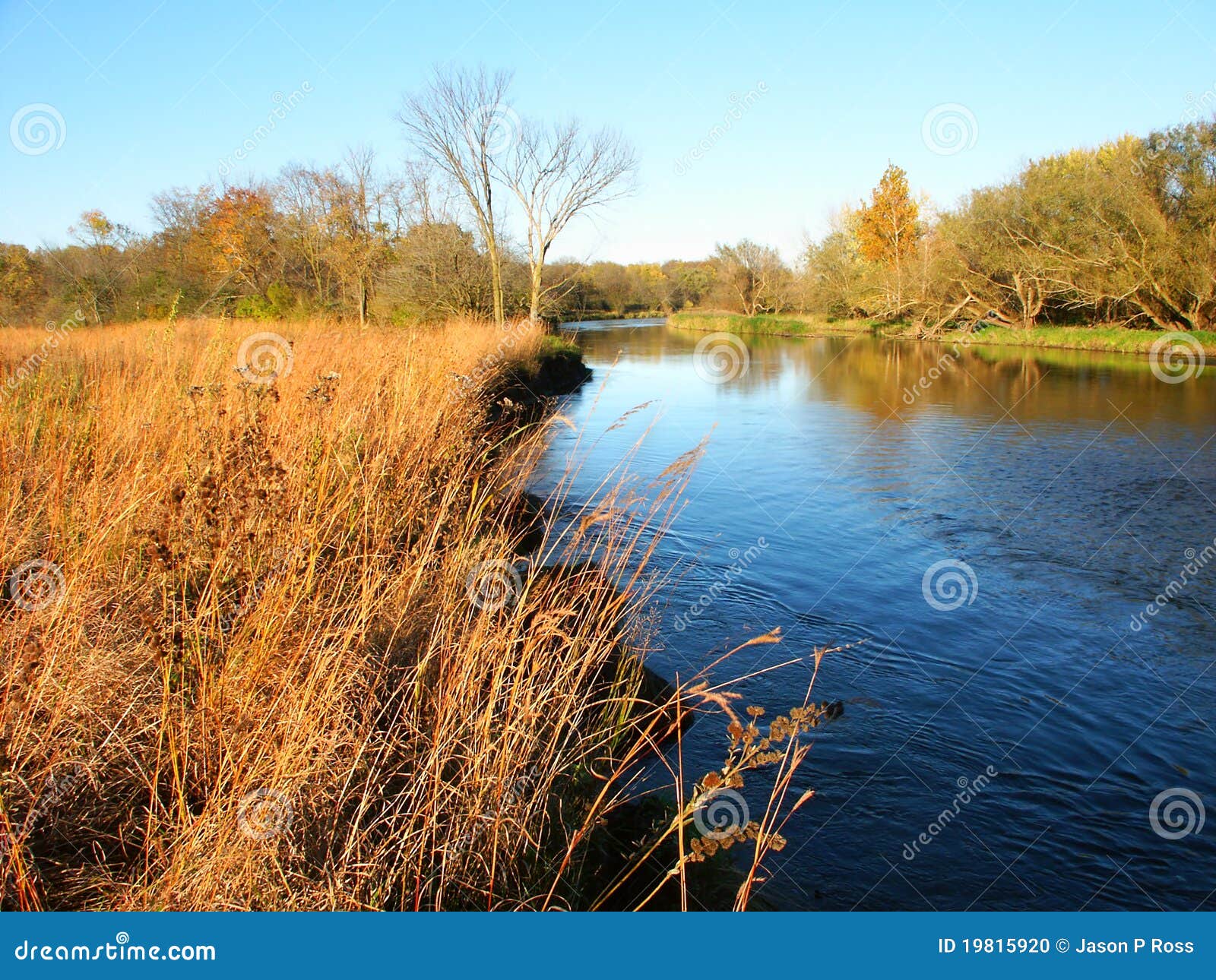 Kishwaukee River - Illinois Stock Photo - Image of water, bend: 19815920