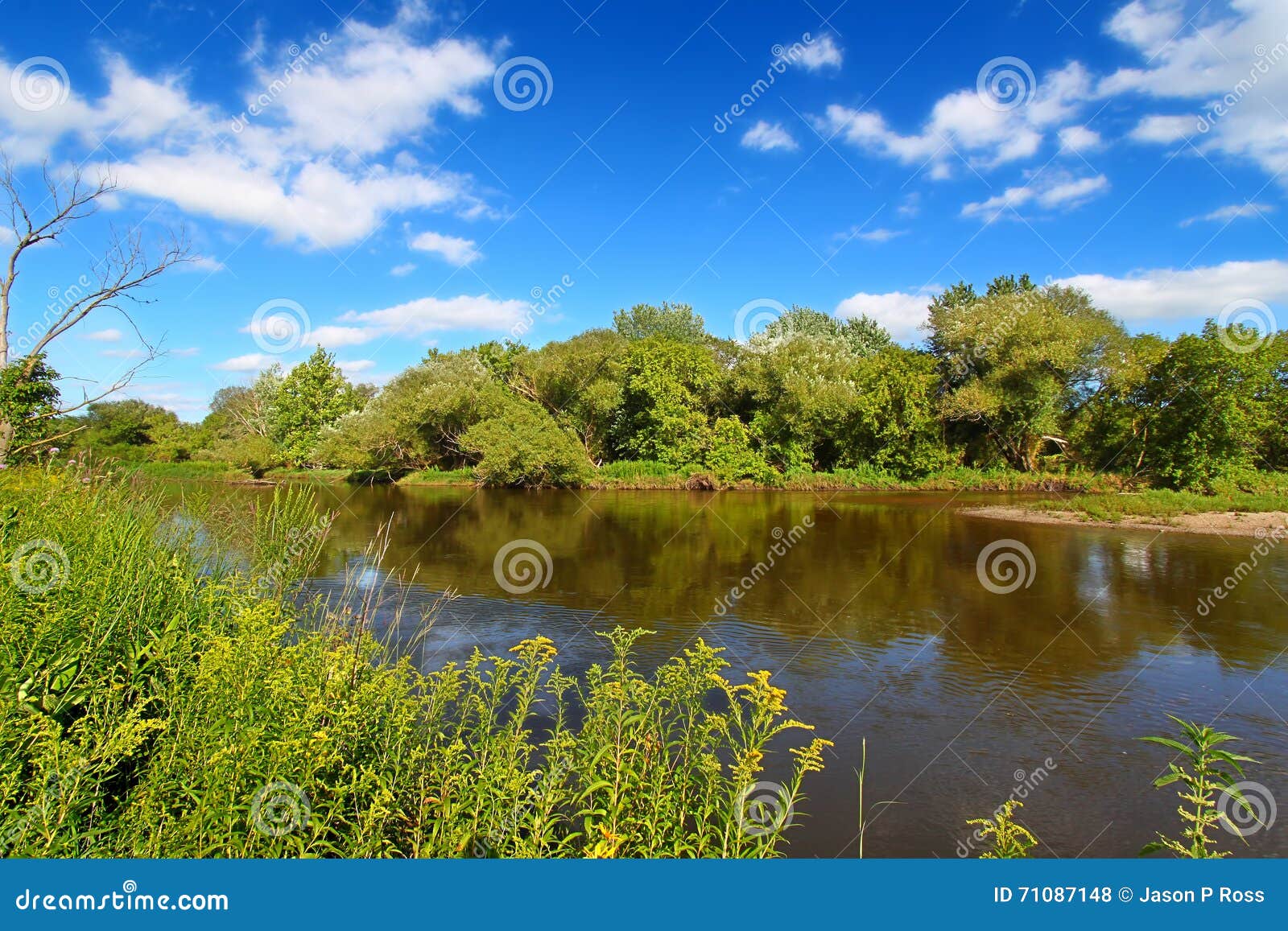 Kishwaukee River Landscape Illinois Stock Photo - Image of serene ...