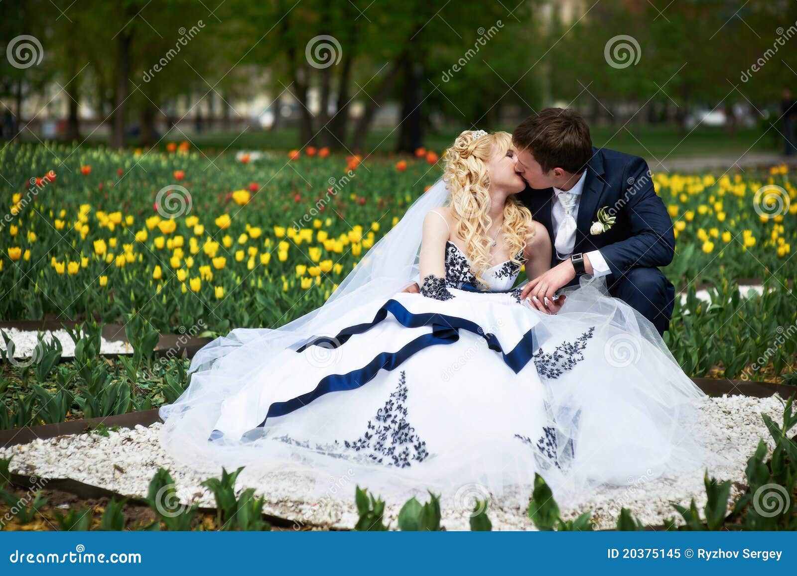 Kiss Of The Groom And The Bride During Walk Against A Brown Horse And ...
