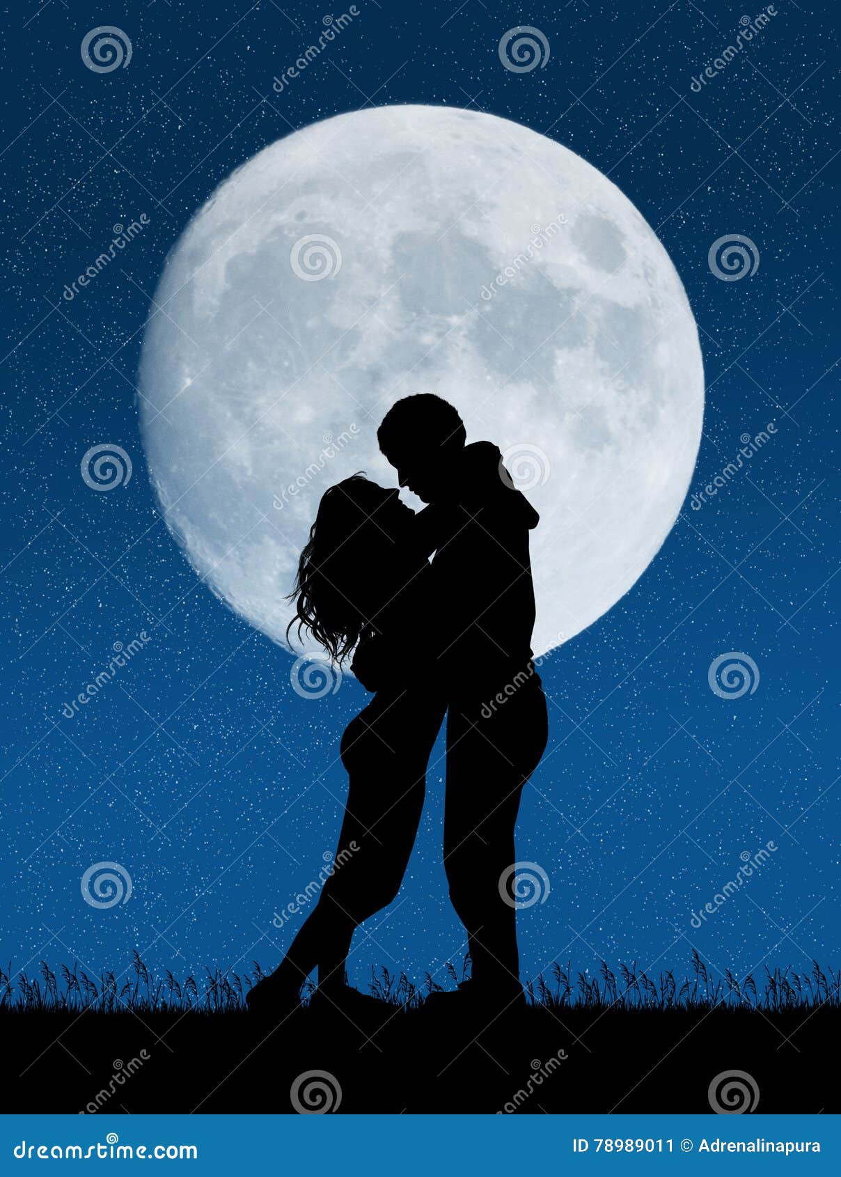 Silhouettes Lovers In Moonlight