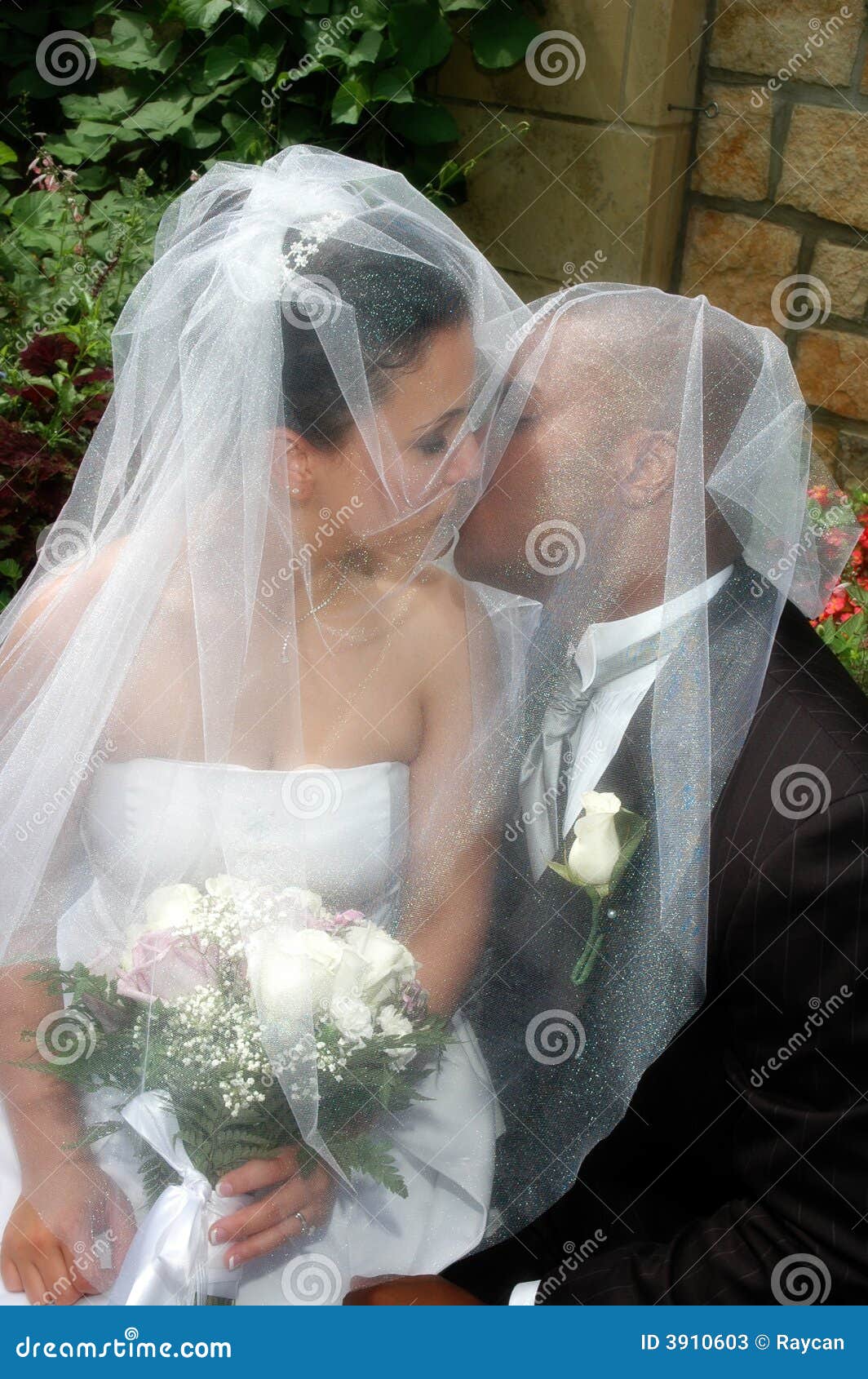 Kiss under Veil stock image. Image of matrimony, african - 3910603