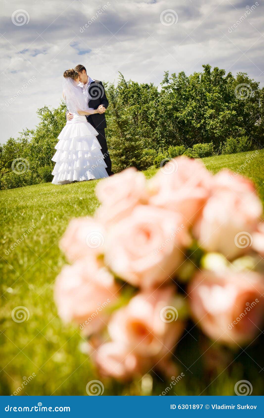 Kissing The Bride Picture. Image: 6301897