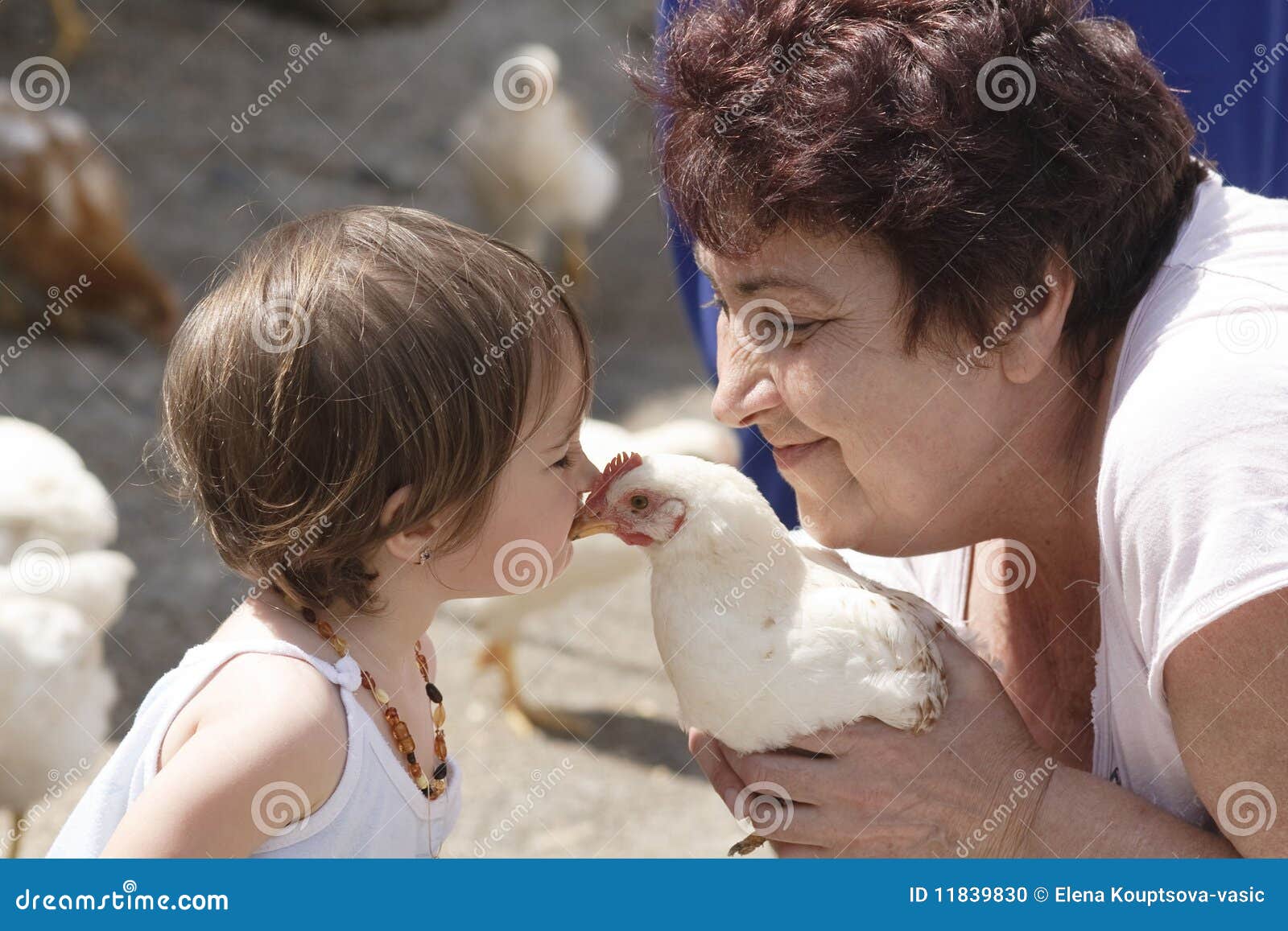 Kissing chicken stock photo. Image of girls, poultry - 11839830
