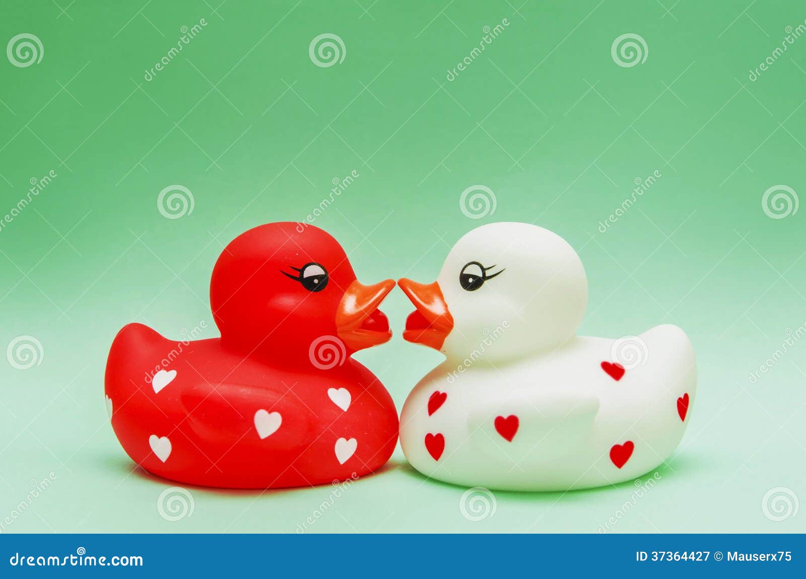 Kissing Ducks stock image. Image of bathtube, lovers - 37364427