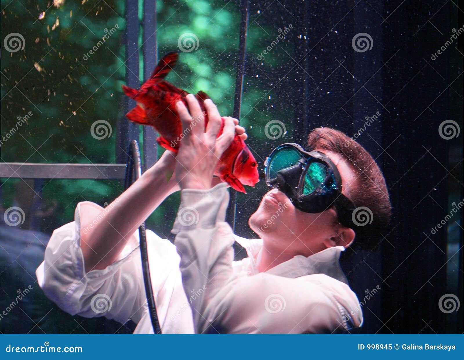 Kissing fish stock image. Image of funny, friend, underwater - 998945