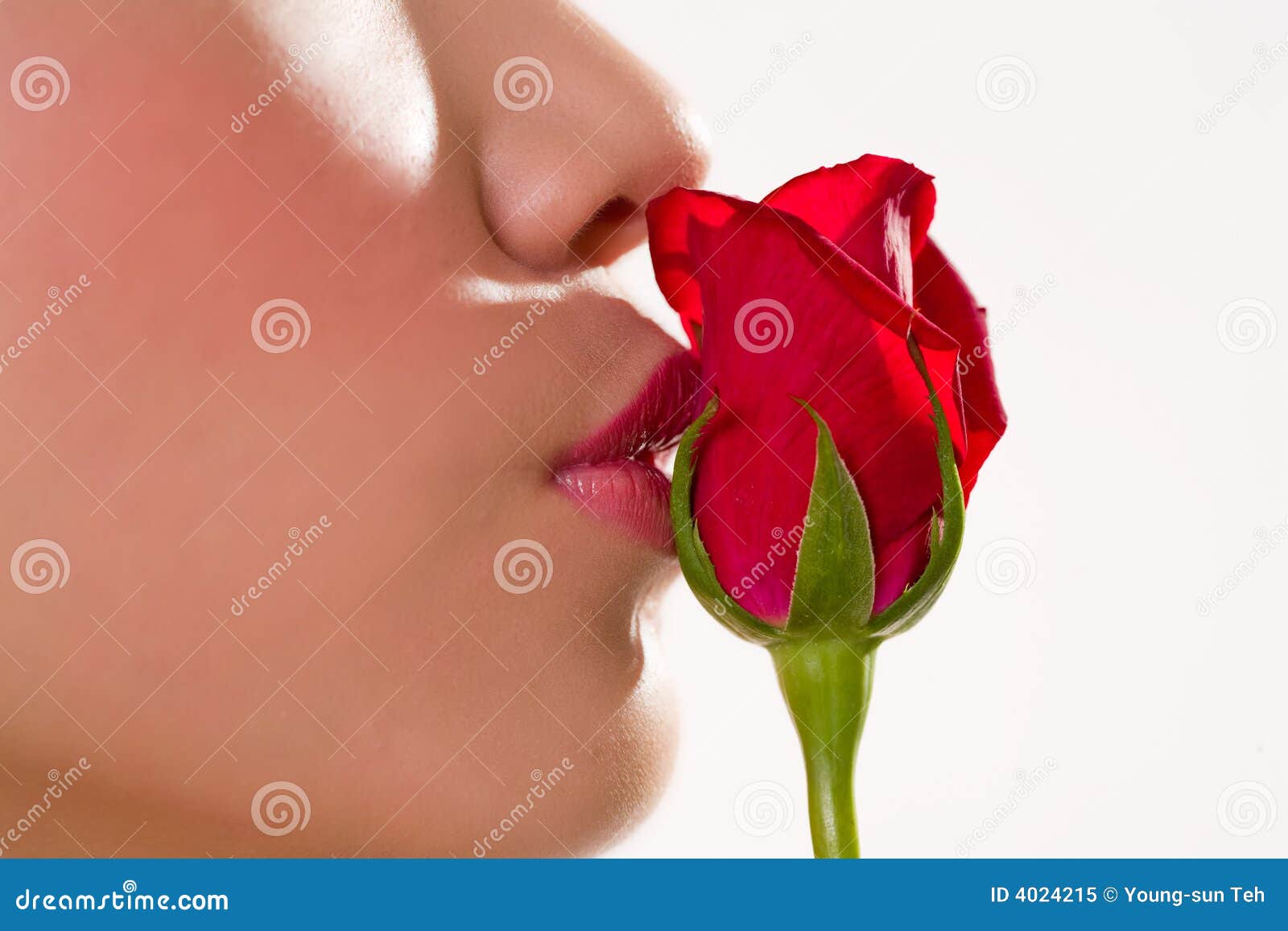 Kissing a red rose stock image. Image of health, valentine - 4024215