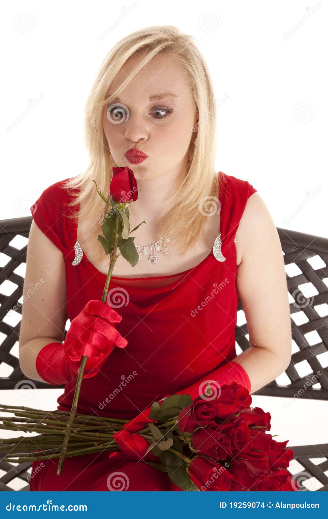 Kissing a rose stock photo. Image of hair, high, event - 19259074