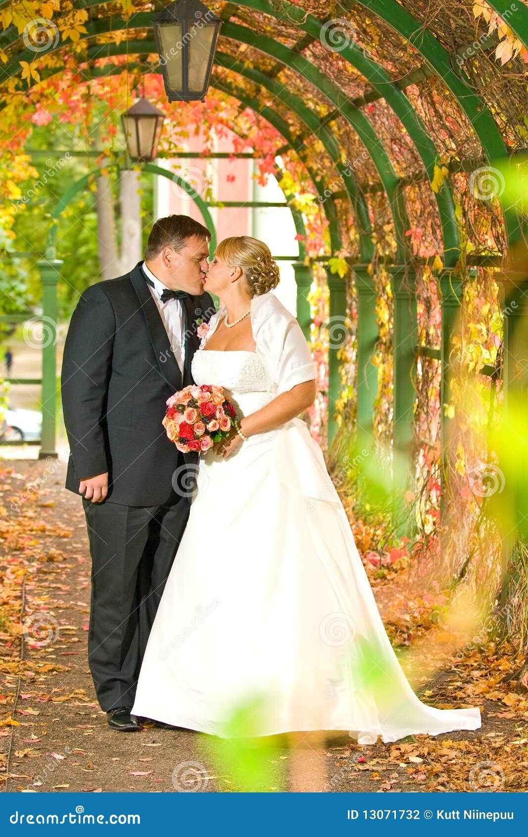 Kissing wedding couple stock photo. Image of allegiance - 13071732