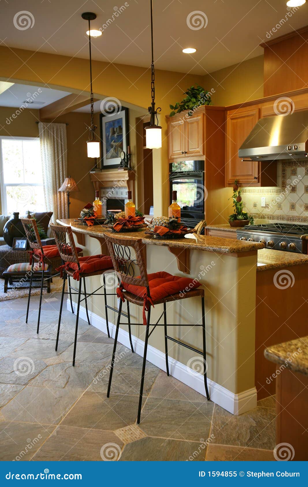 Kitchen stock image. Image of residential, house, plant - 1594855