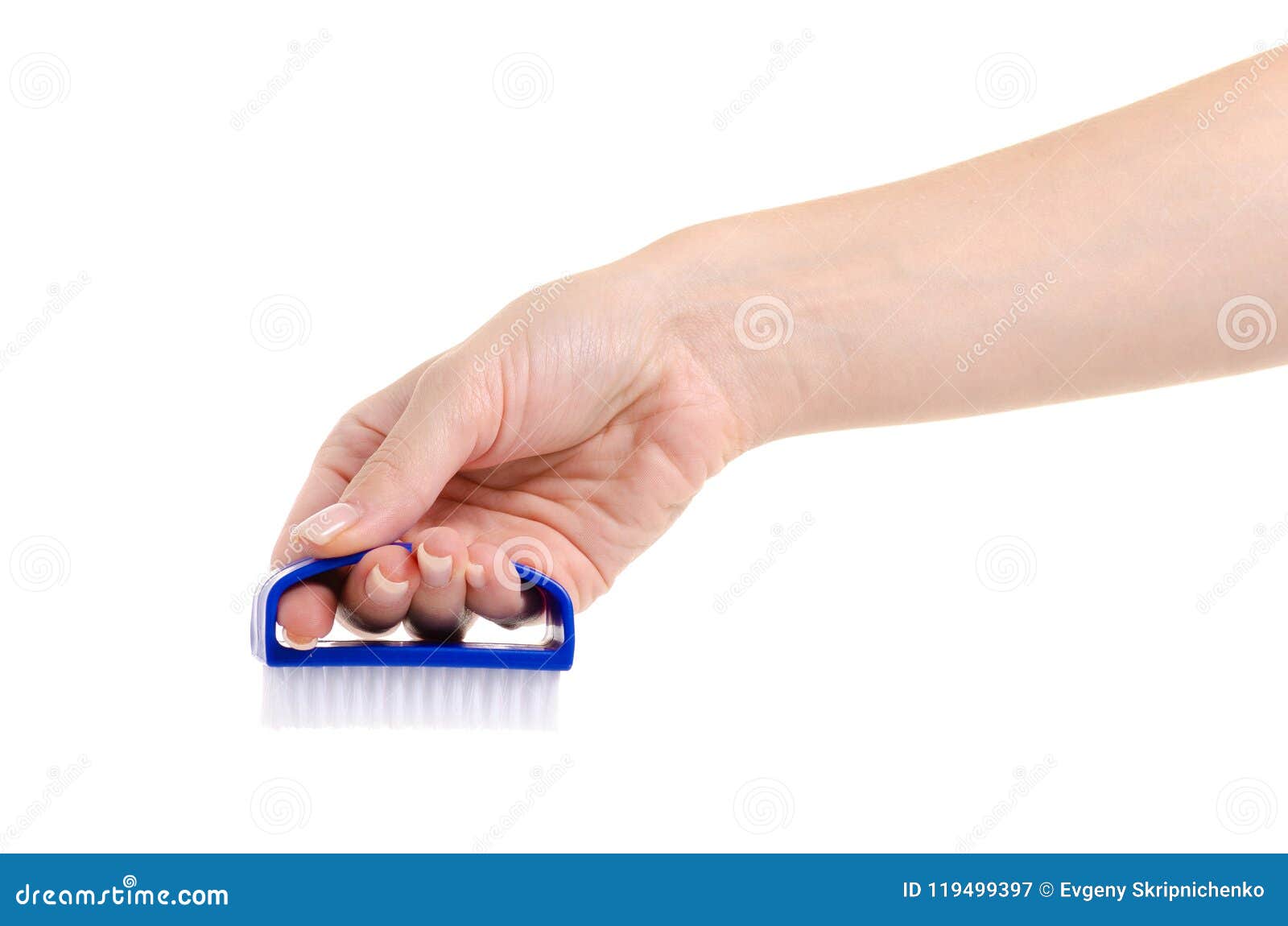Kitchen Brush in Hand Clean Stock Image - Image of front, care: 119499397