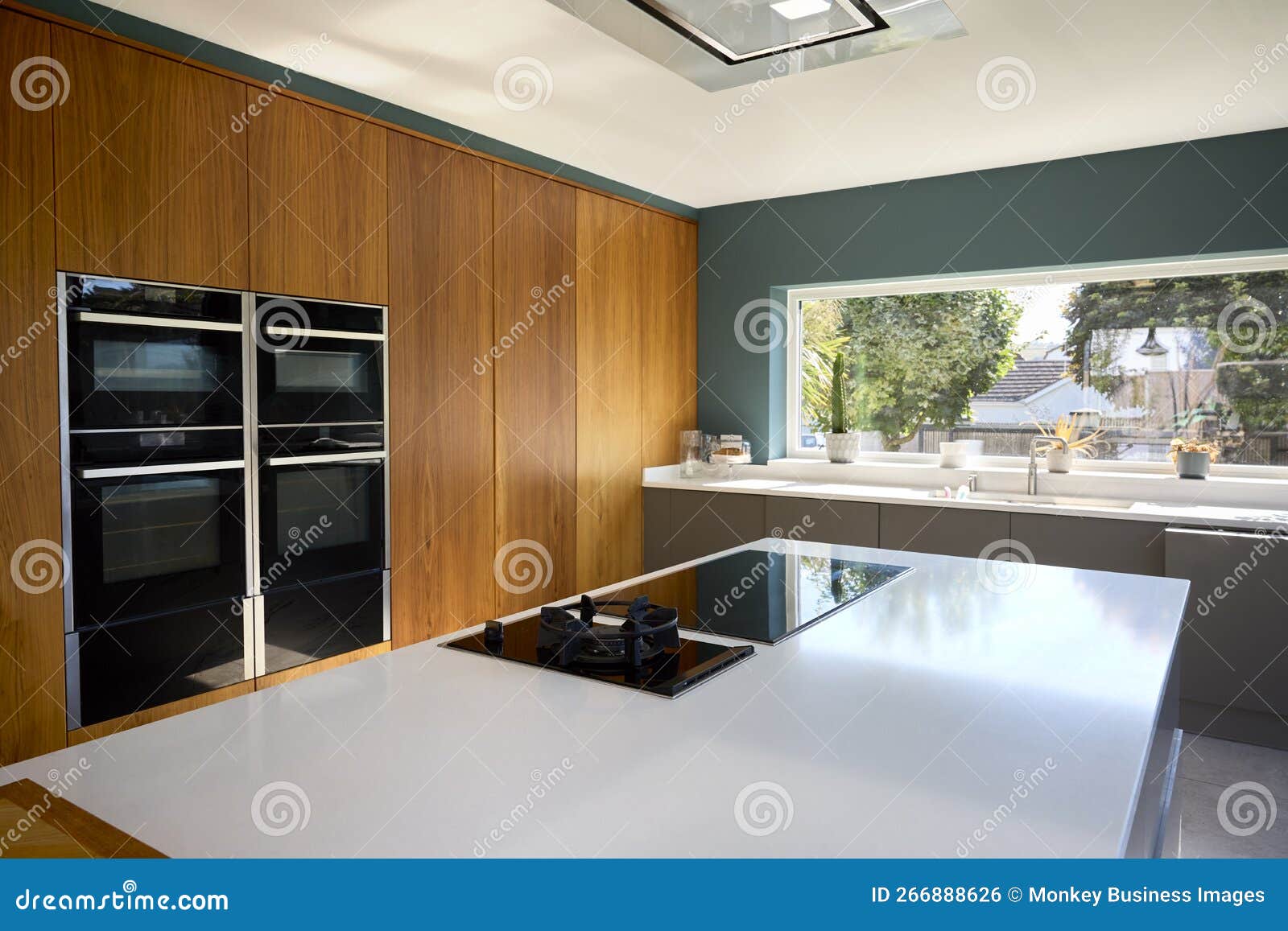 Kitchen and Counter with Built in Appliances in Modern House Stock ...