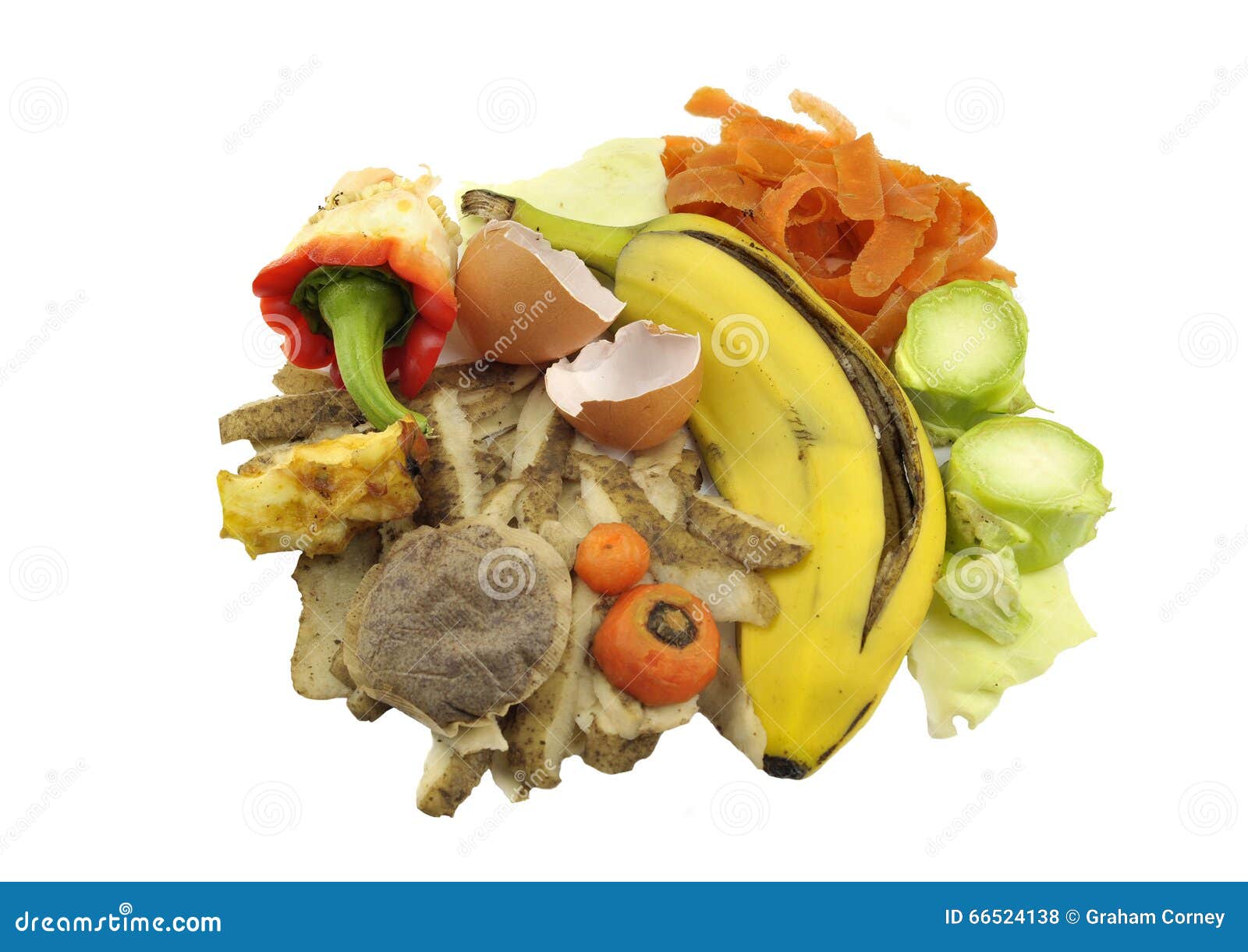 Kitchen food waste stock photo. Image of white, paper - 66524138