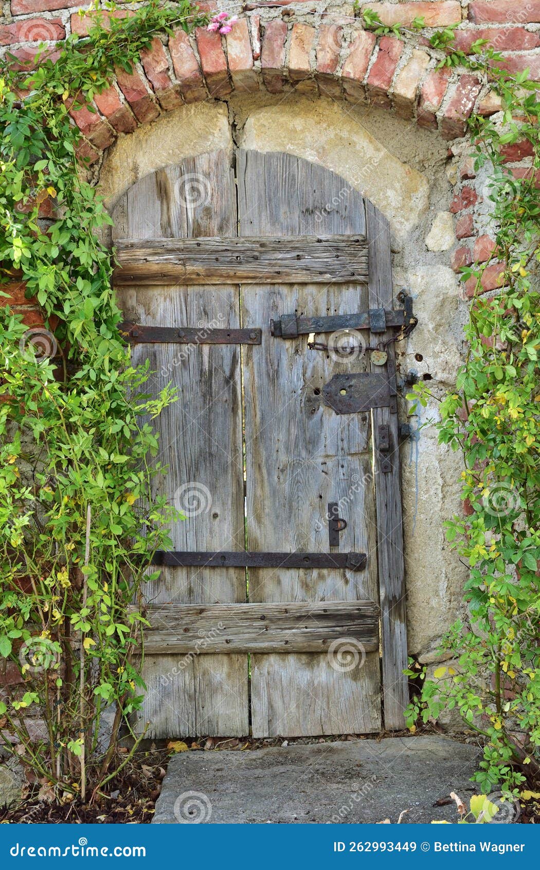 Kitchen Garden Gate, Vertical Stock Image - Image of outdoor, potager ...