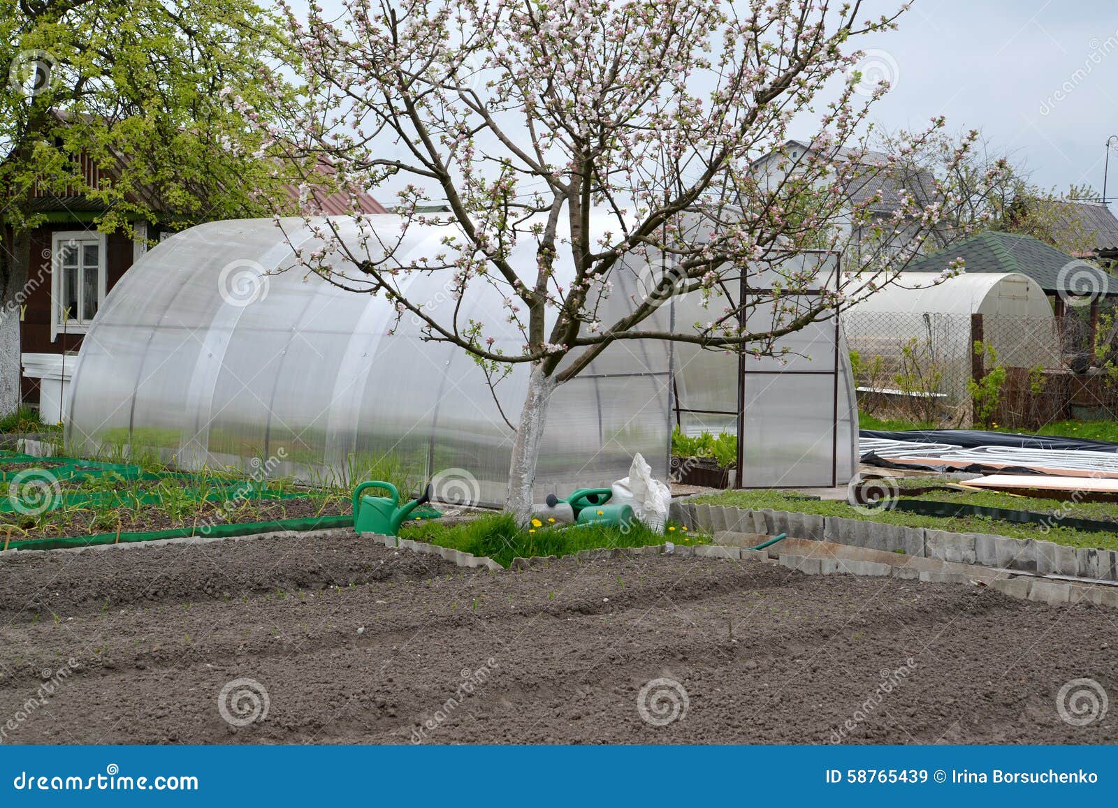 Kitchen Garden and the Greenhouse from Cellular Polycarbonate Stock ...