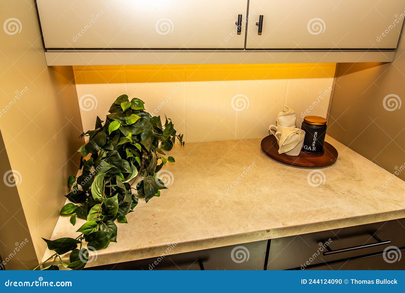 Kitchen Pantry Counter with Plant and Tray with Cups and Container ...