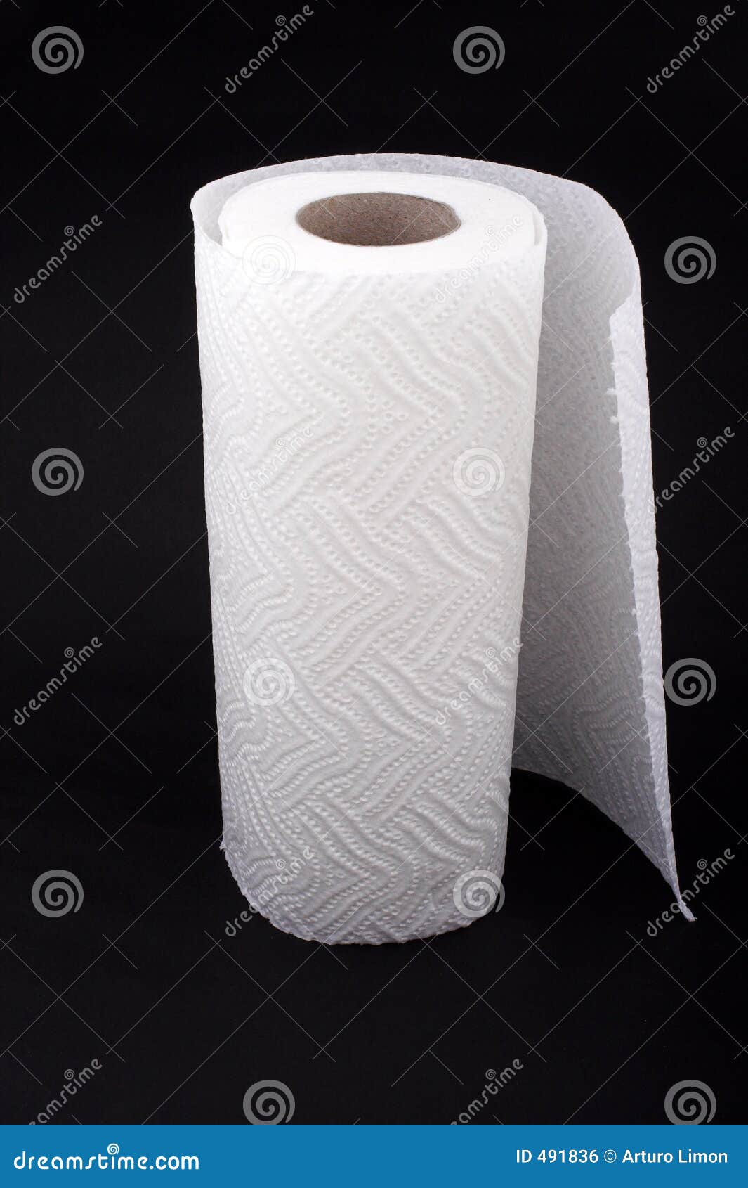 Kitchen paper stock photo. Image of paper, disposable, handy - 491836