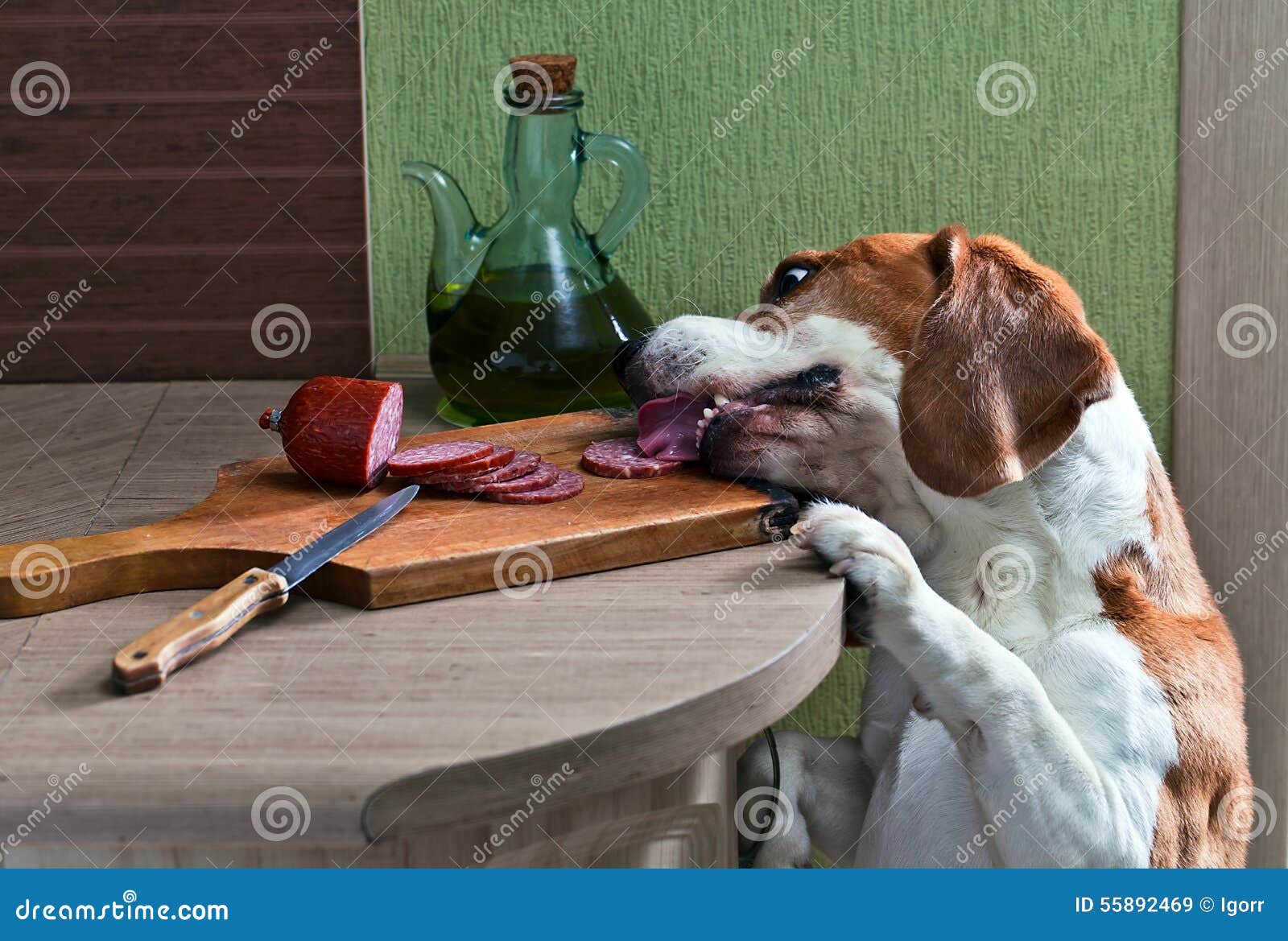 Kitchen pilferer stock image. Image of indoor, cute, pilferer - 55892469