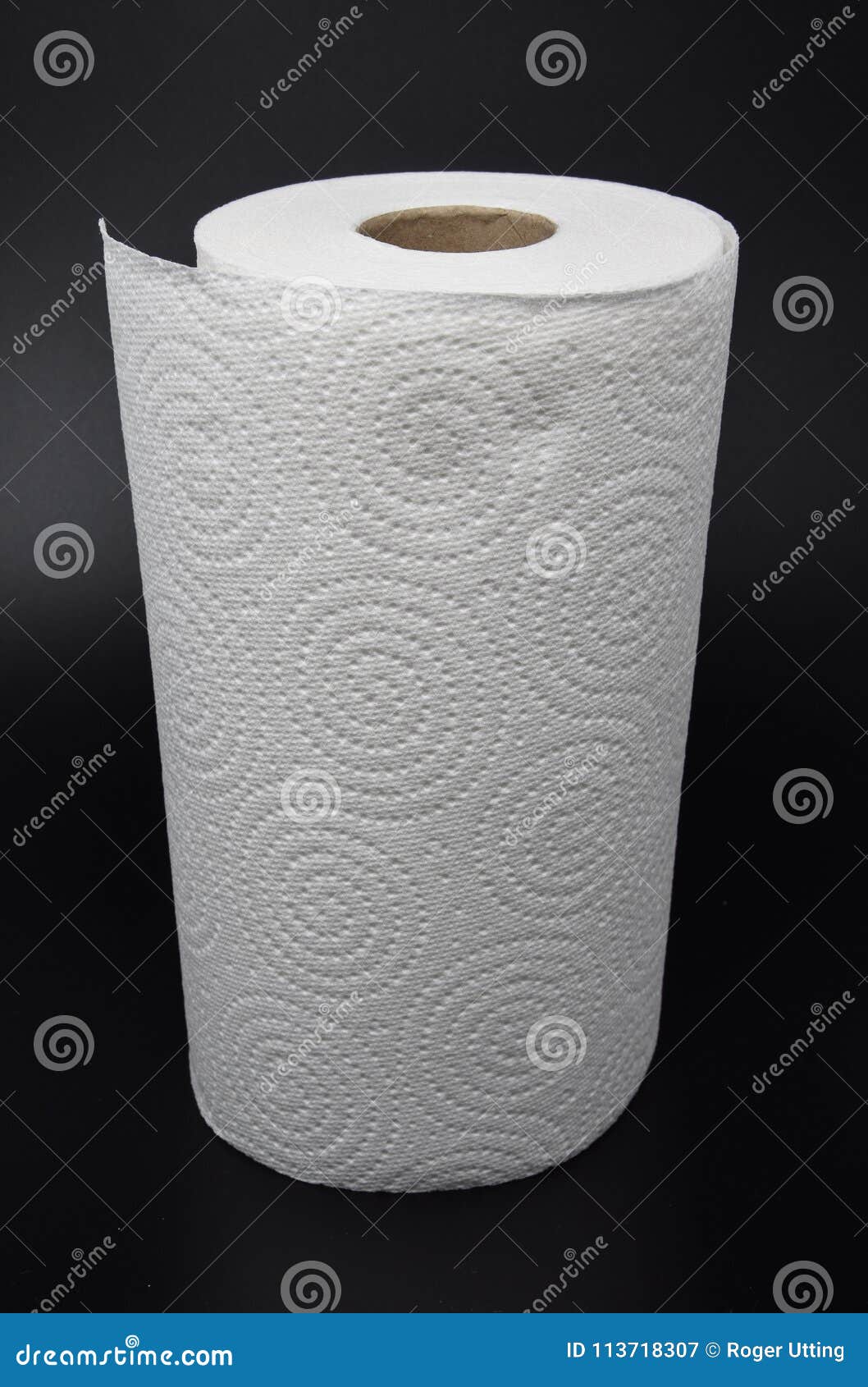 Kitchen roll stock image. Image of products, absorbent - 113718307