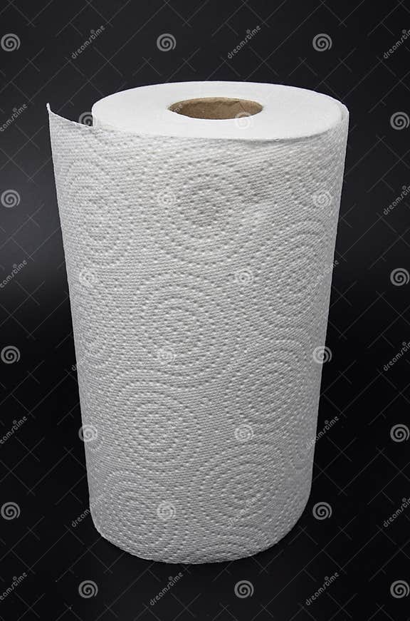 Kitchen roll stock image. Image of products, absorbent - 113718307