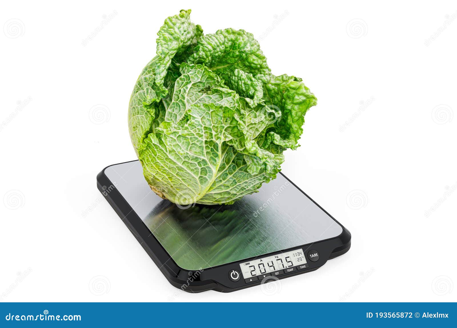 Kitchen Scales with Savoy Cabbage. 3D Rendering Stock Illustration ...