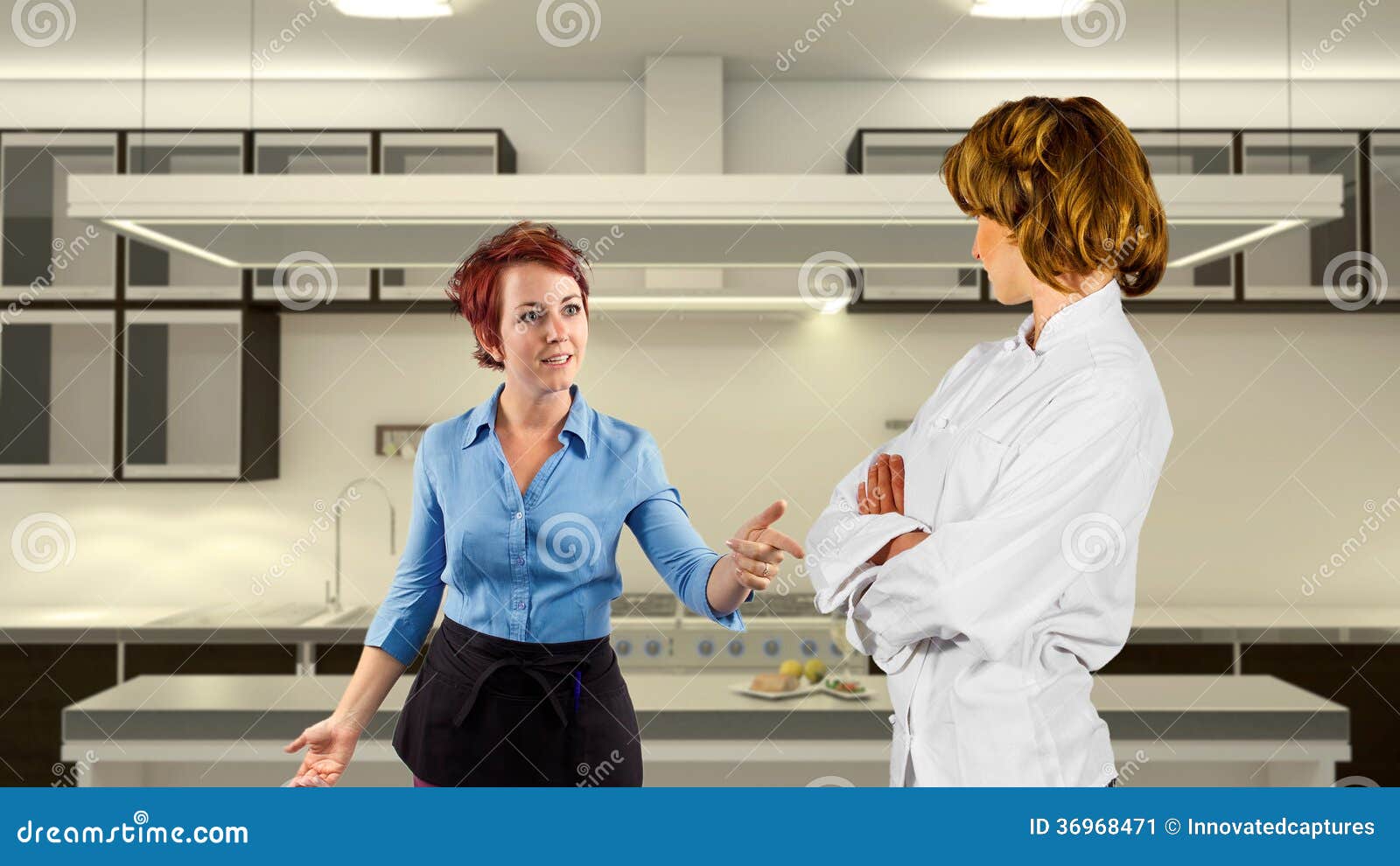 Kitchen Staff stock image. Image of angry, accusing, coworker - 36968471