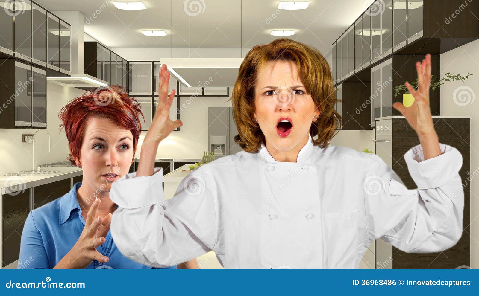Kitchen Staff stock photo. Image of arguments, food, competition - 36968486