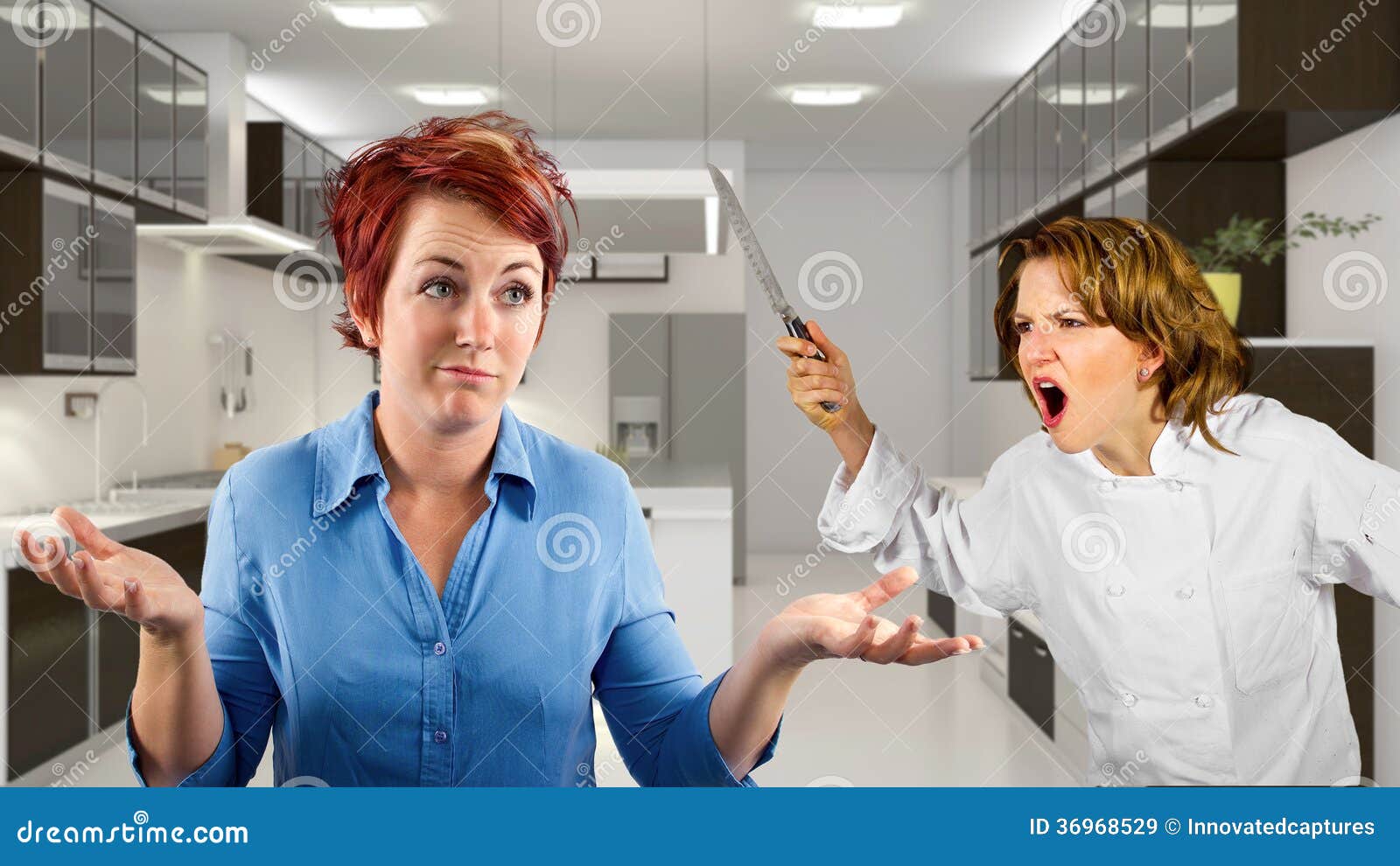 Kitchen Staff stock image. Image of caucasian, boss, employee - 36968529