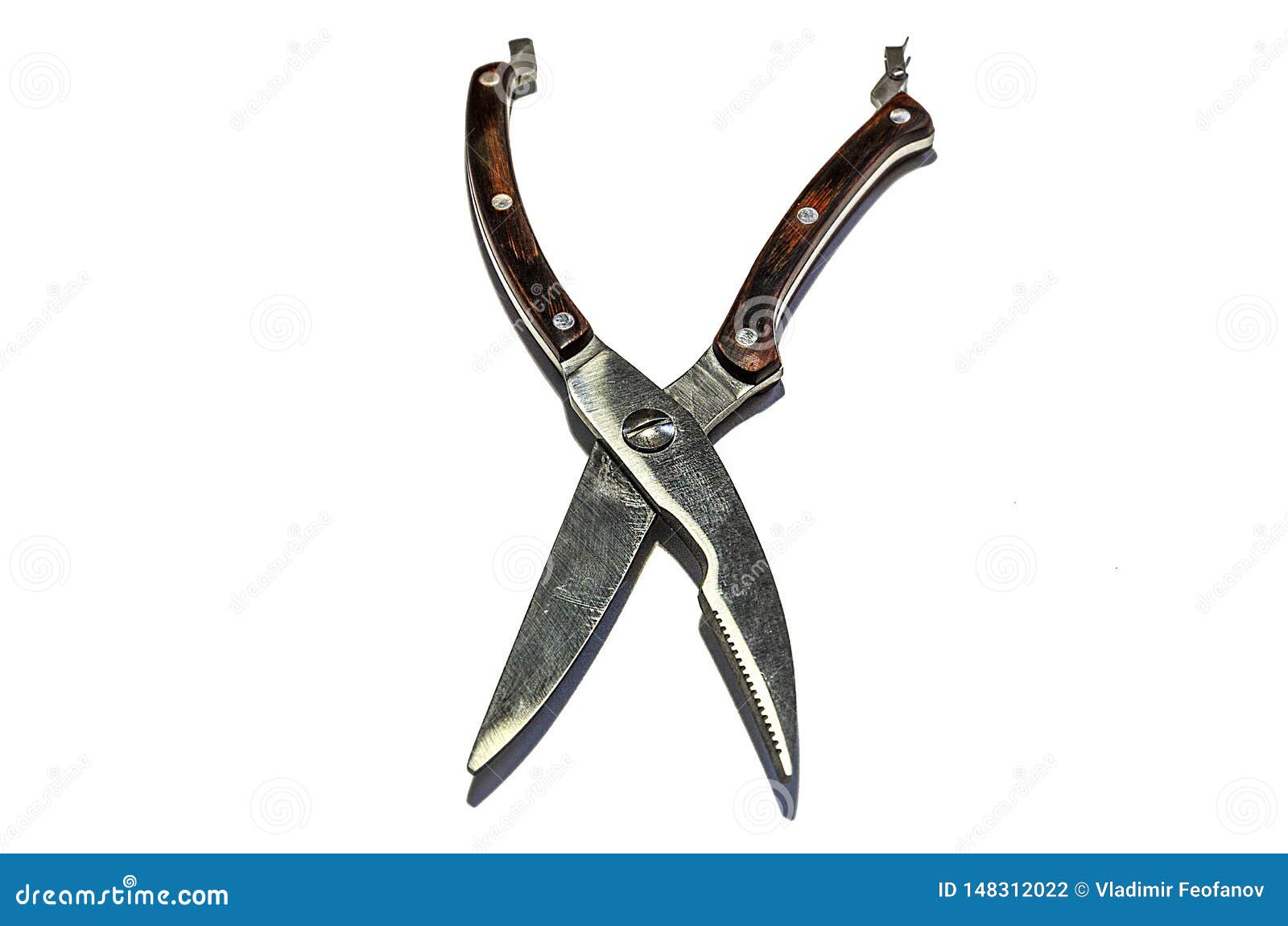 Kitchen Utensils, Bone and Joint Cutting Scissors Stock Photo - Image ...