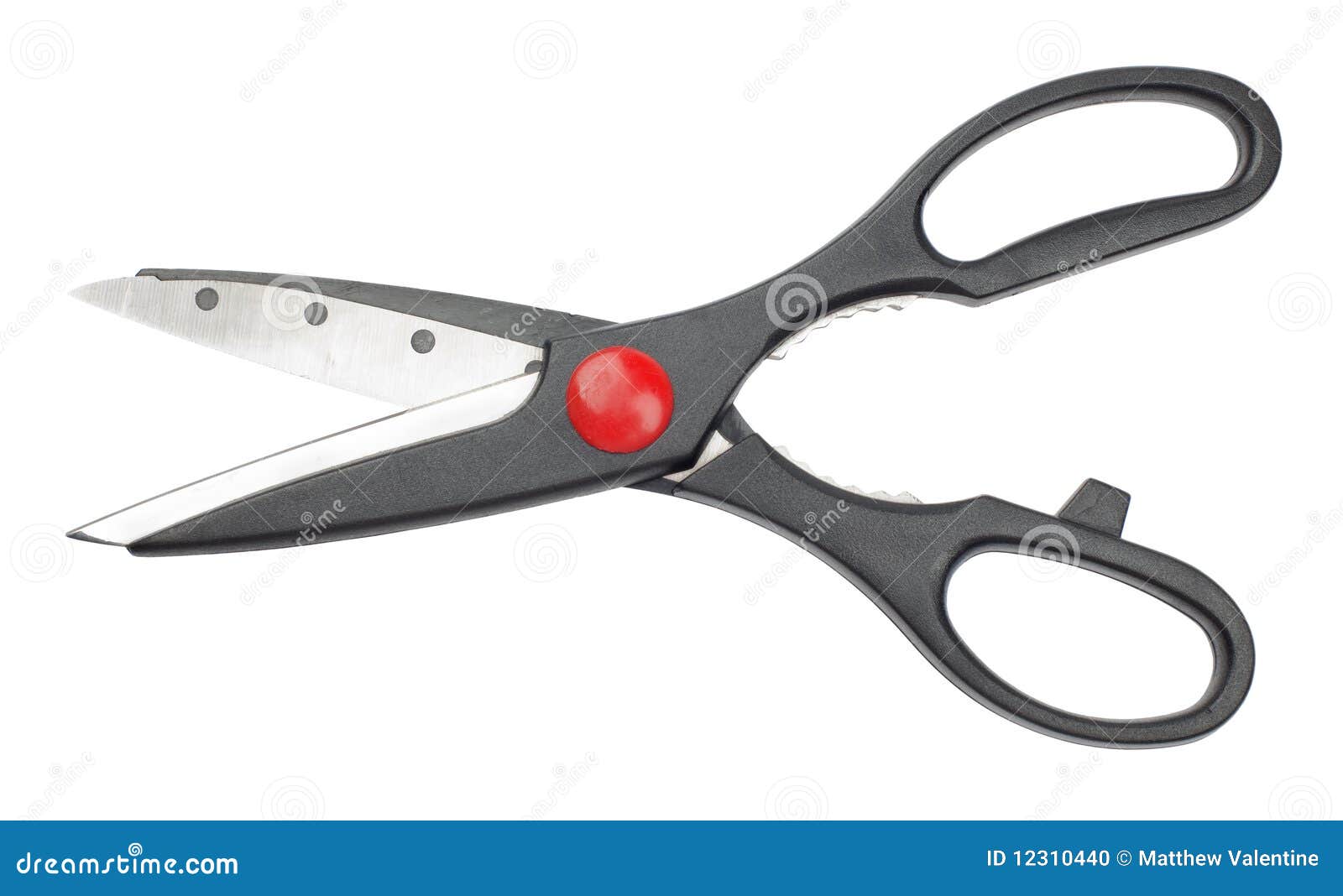 Kitchen utility scissors stock photo. Image of kitchen - 12310440