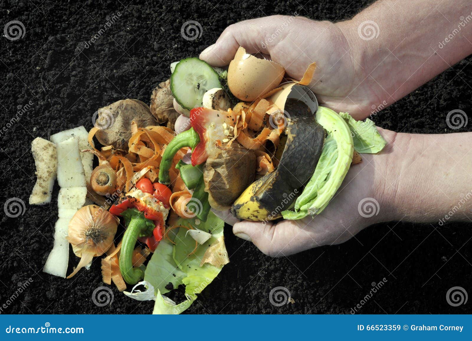 Kitchen waste stock image. Image of fertilize, kitchen - 66523359