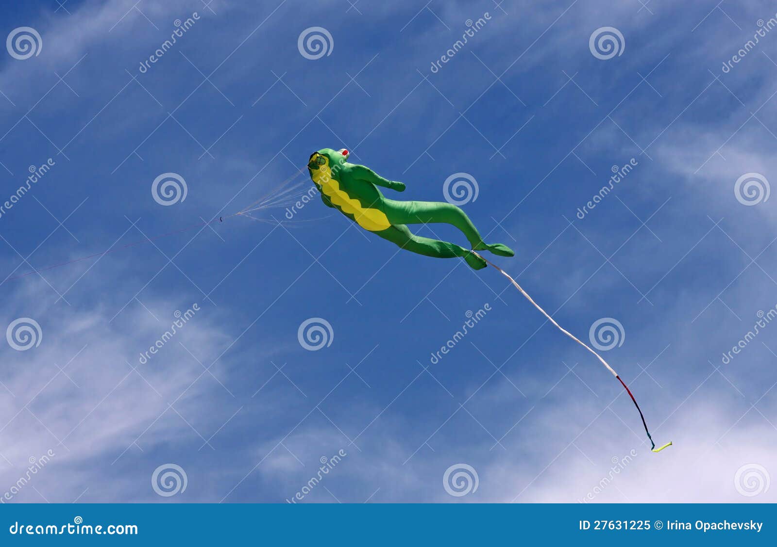 Kite stock image. Image of frog, yellow, blue, green - 27631225