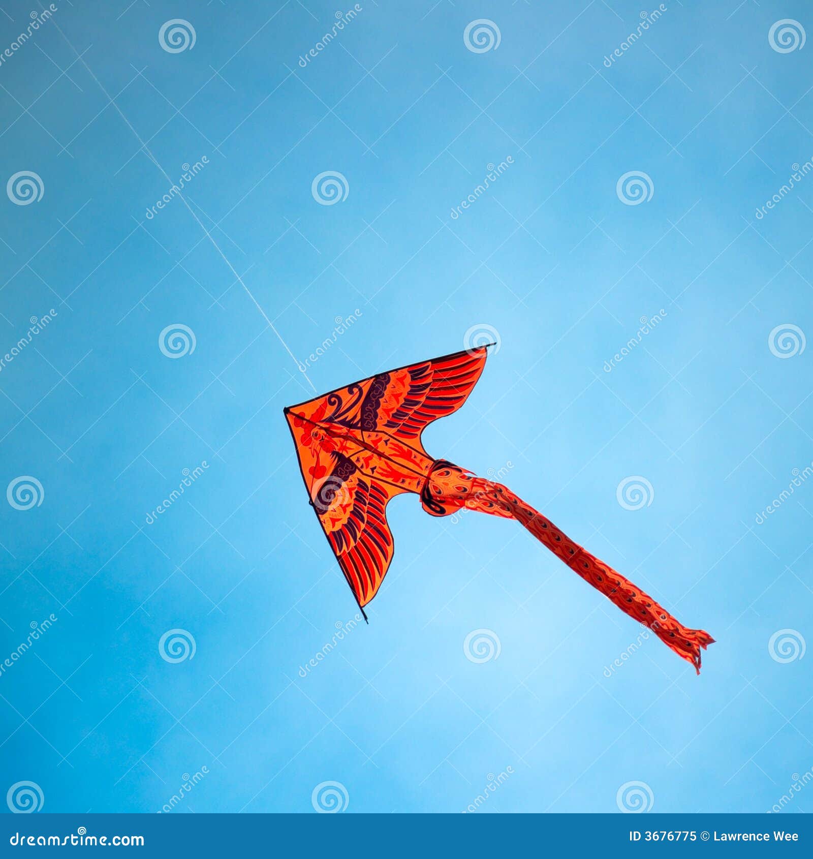 Kite stock image. Image of tropical, weekend, phoenix - 3676775