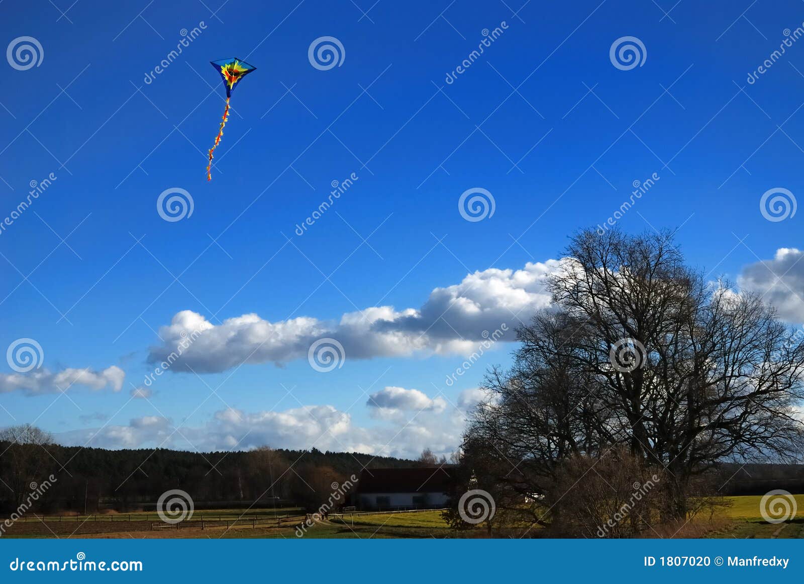 Kite above tree stock photo. Image of blowing, hobby, cloud - 1807020