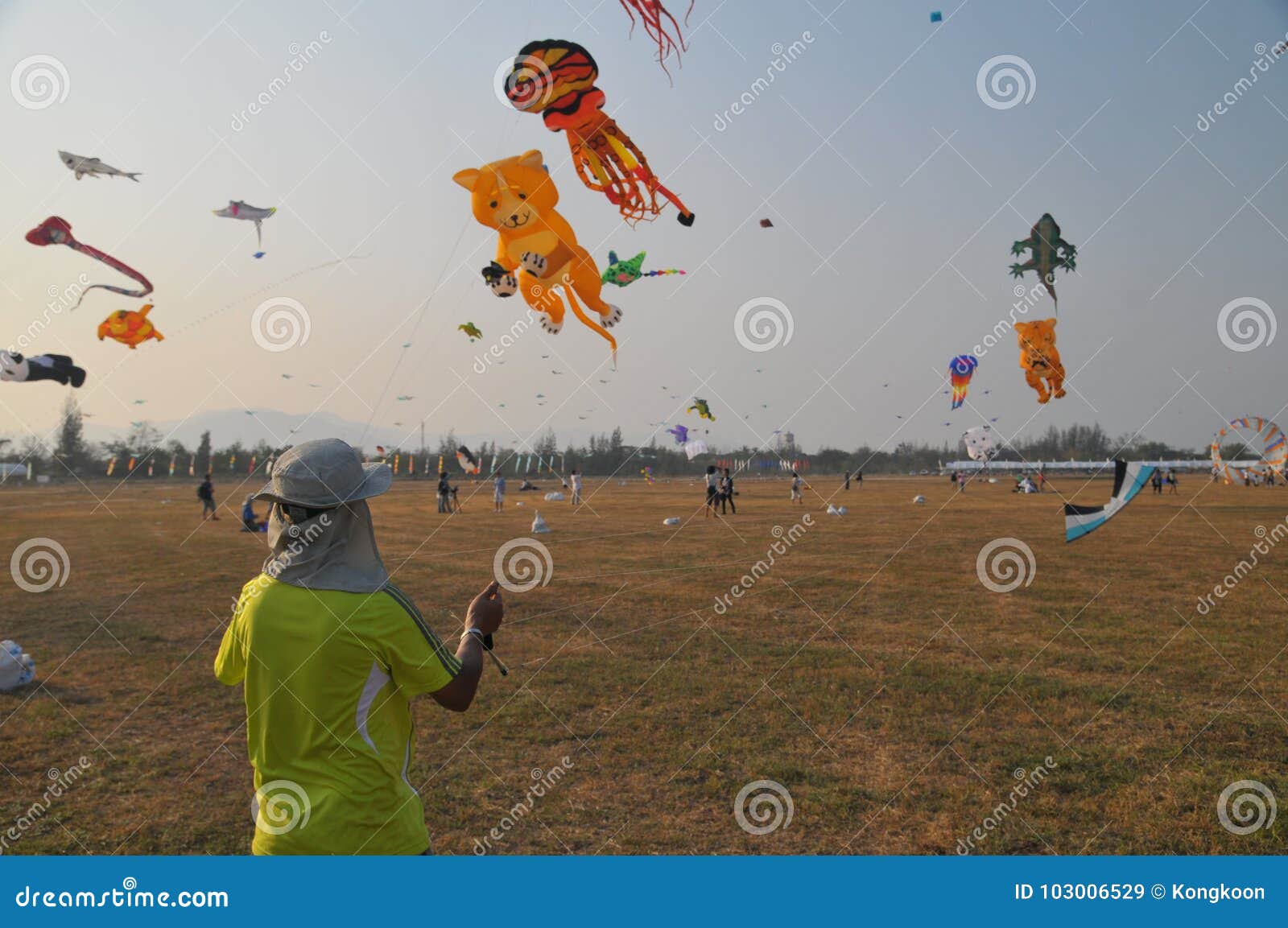 Kite And Balloon Editorial Photo | CartoonDealer.com #103006529