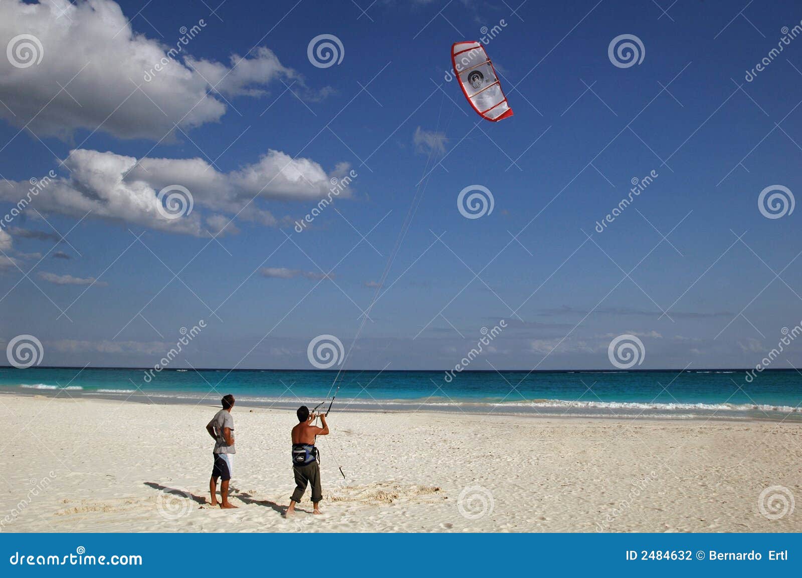 Kite on the beach stock photo. Image of ocean, summer - 2484632