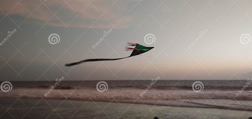 Kite and the beach stock image. Image of evening, kite - 257259913