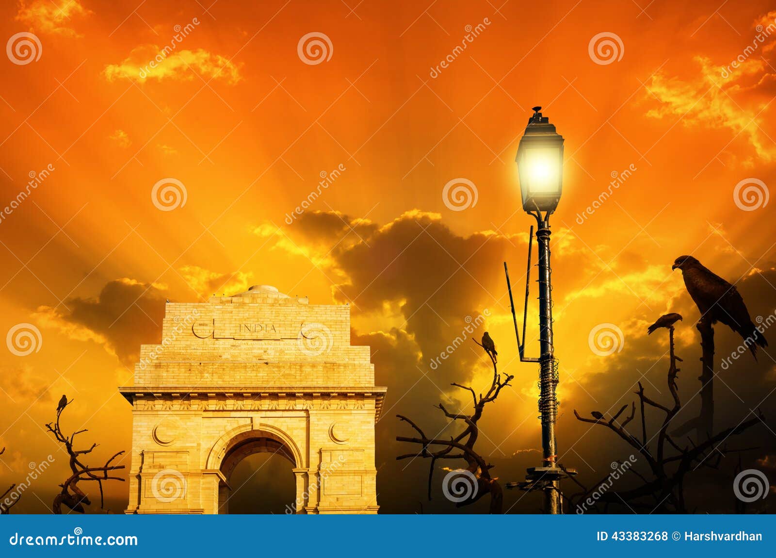 Kite Birds at India Gate Sunset Sunrise Stock Photo - Image of sunbeam ...