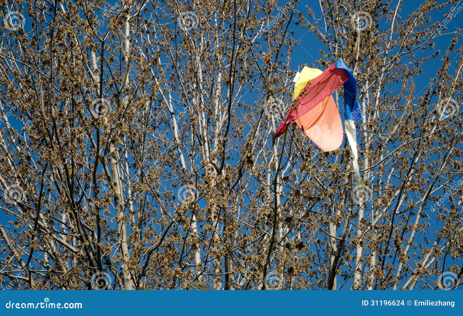 Kite stock photo. Image of freedom, yellow, tree, blue - 31196624