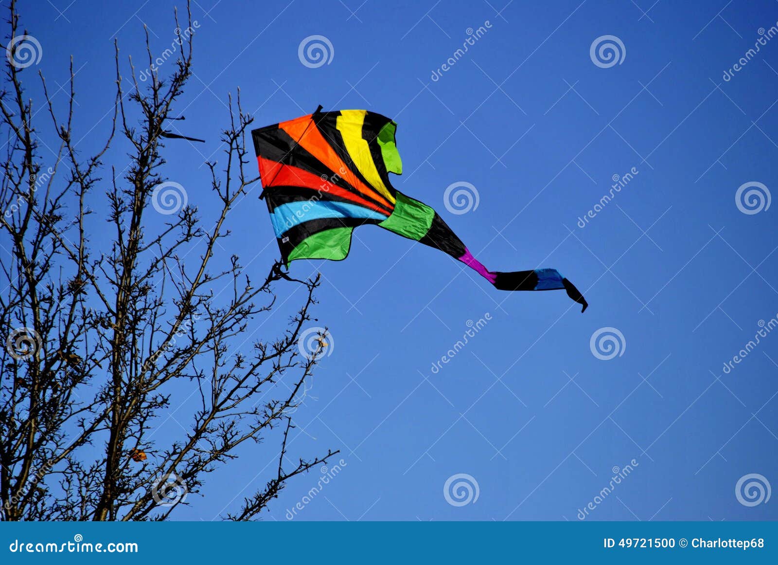 Kite Stock Photo - Image: 49721500