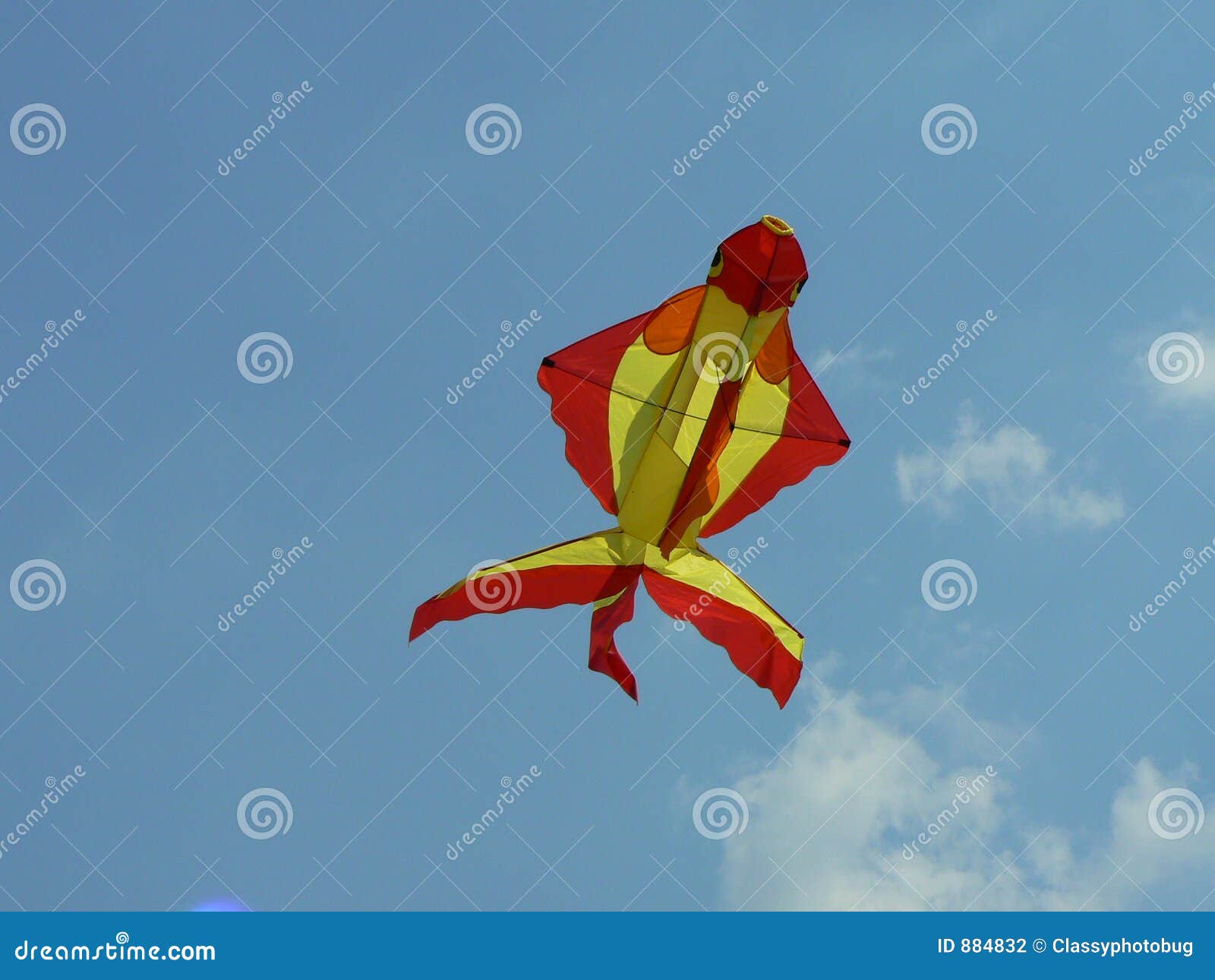 Kite Fish stock photo. Image of clear, fish, windy, waving - 884832