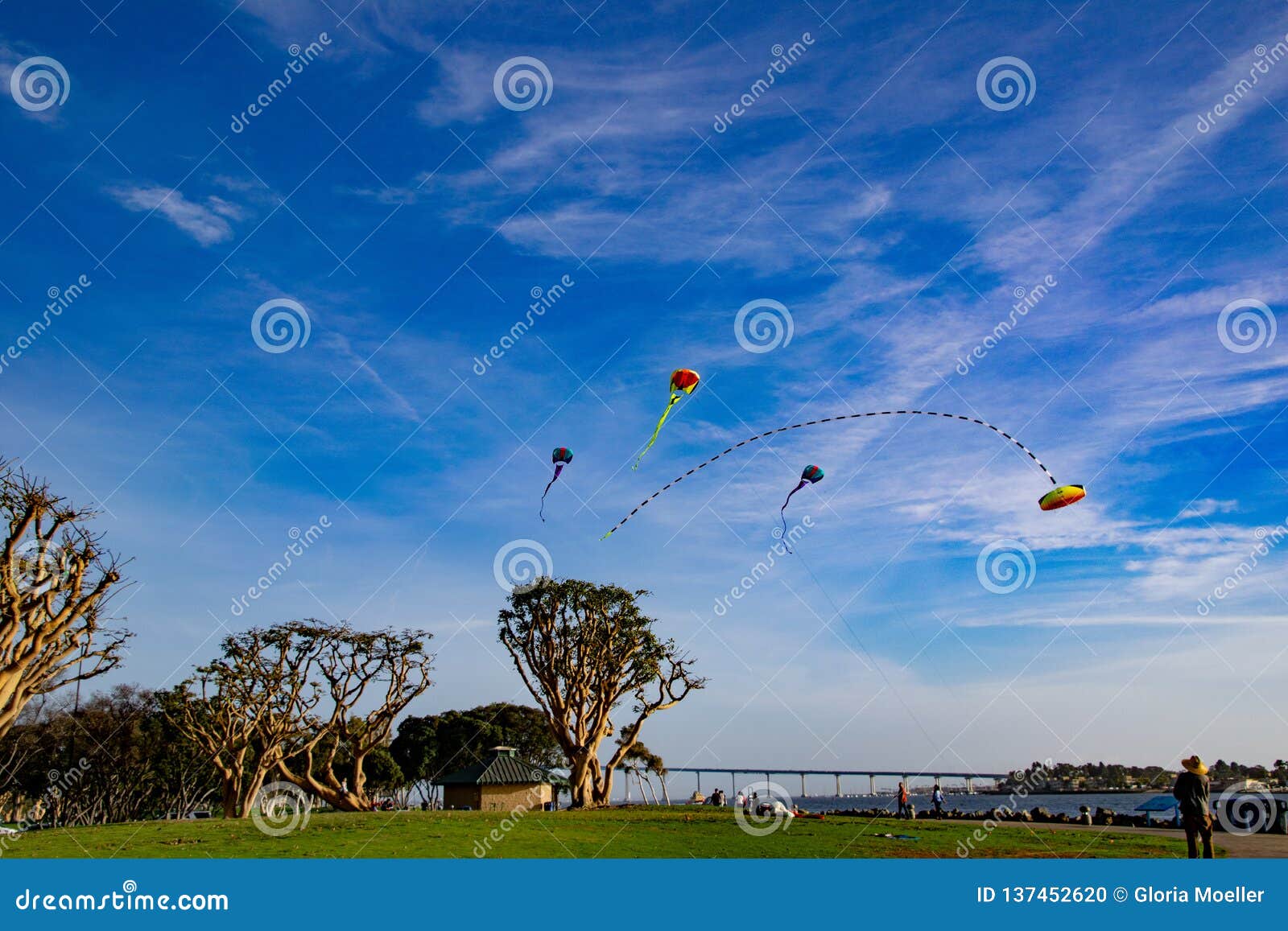 A Kite Flyer at the Waterfront Stock Photo - Image of relaxing, trees ...