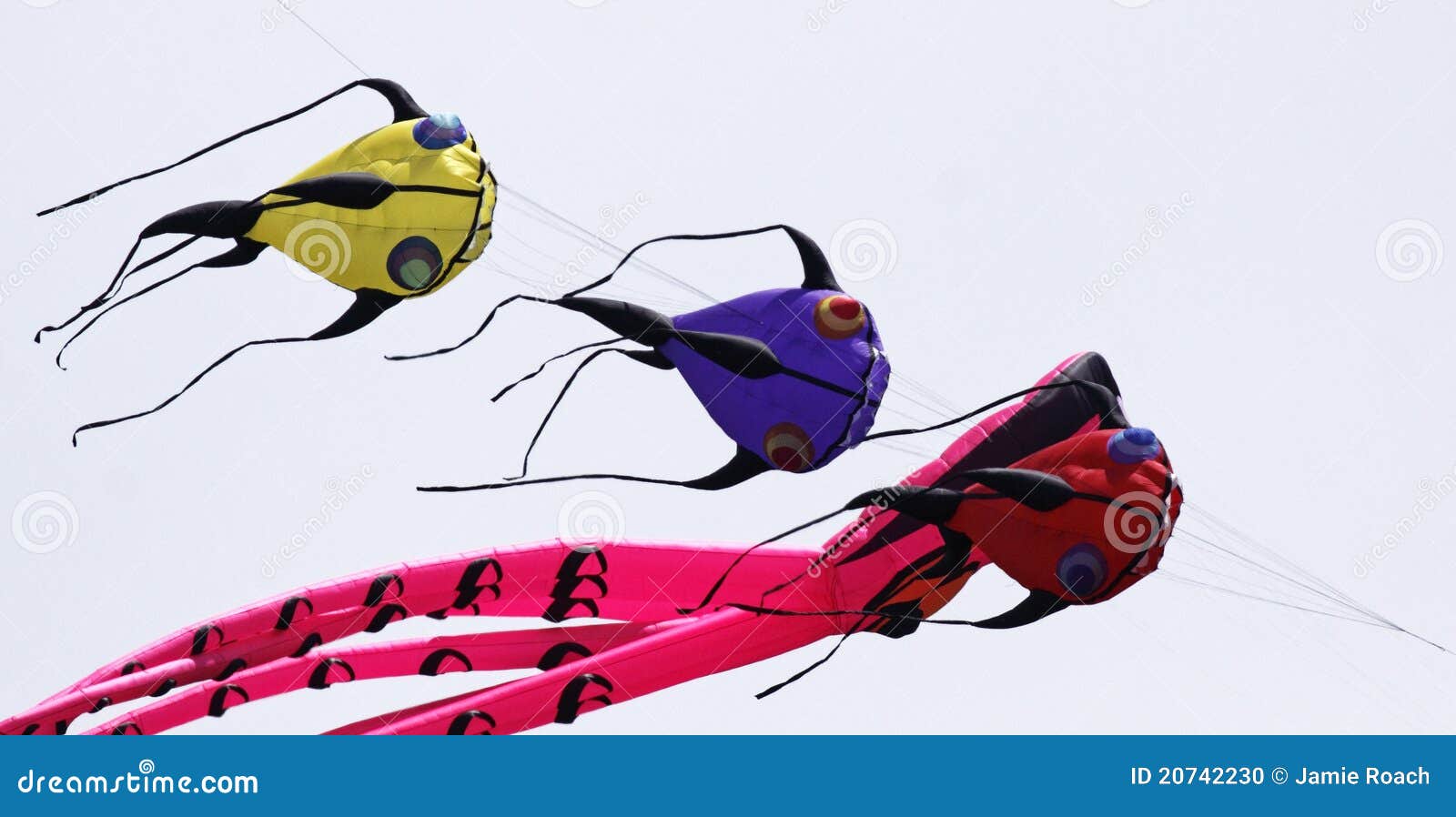 Kite flying fish editorial image. Image of happy, colourful - 20742230